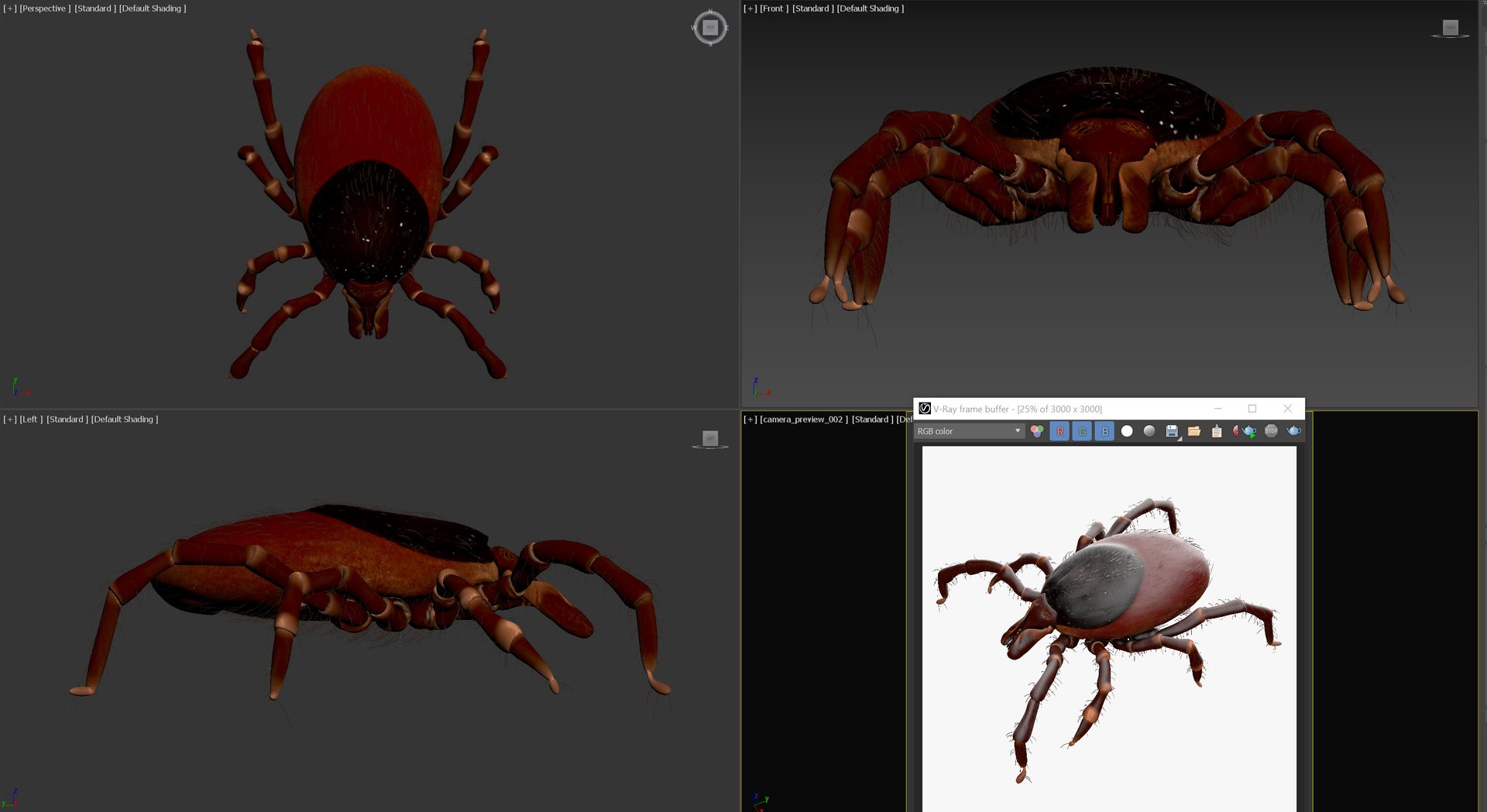 Tick Anatomy Static 3D model - TurboSquid 1935207
