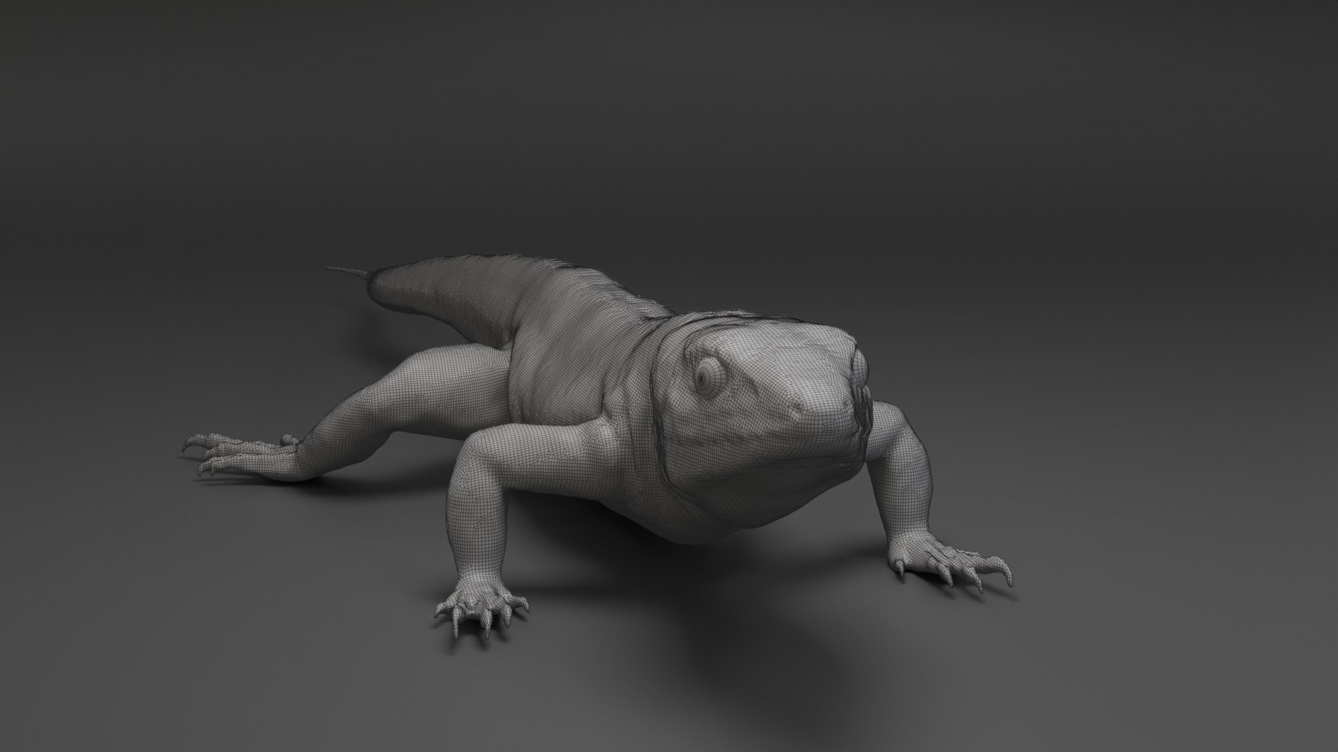 Lizard Sculpt 3D Model - TurboSquid 2102095