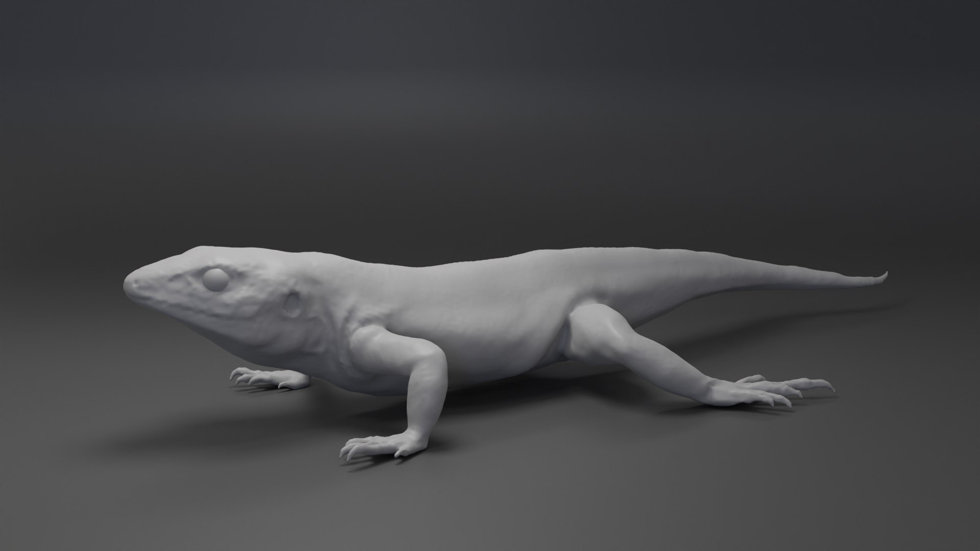 Lizard Sculpt 3D Model - TurboSquid 2102095