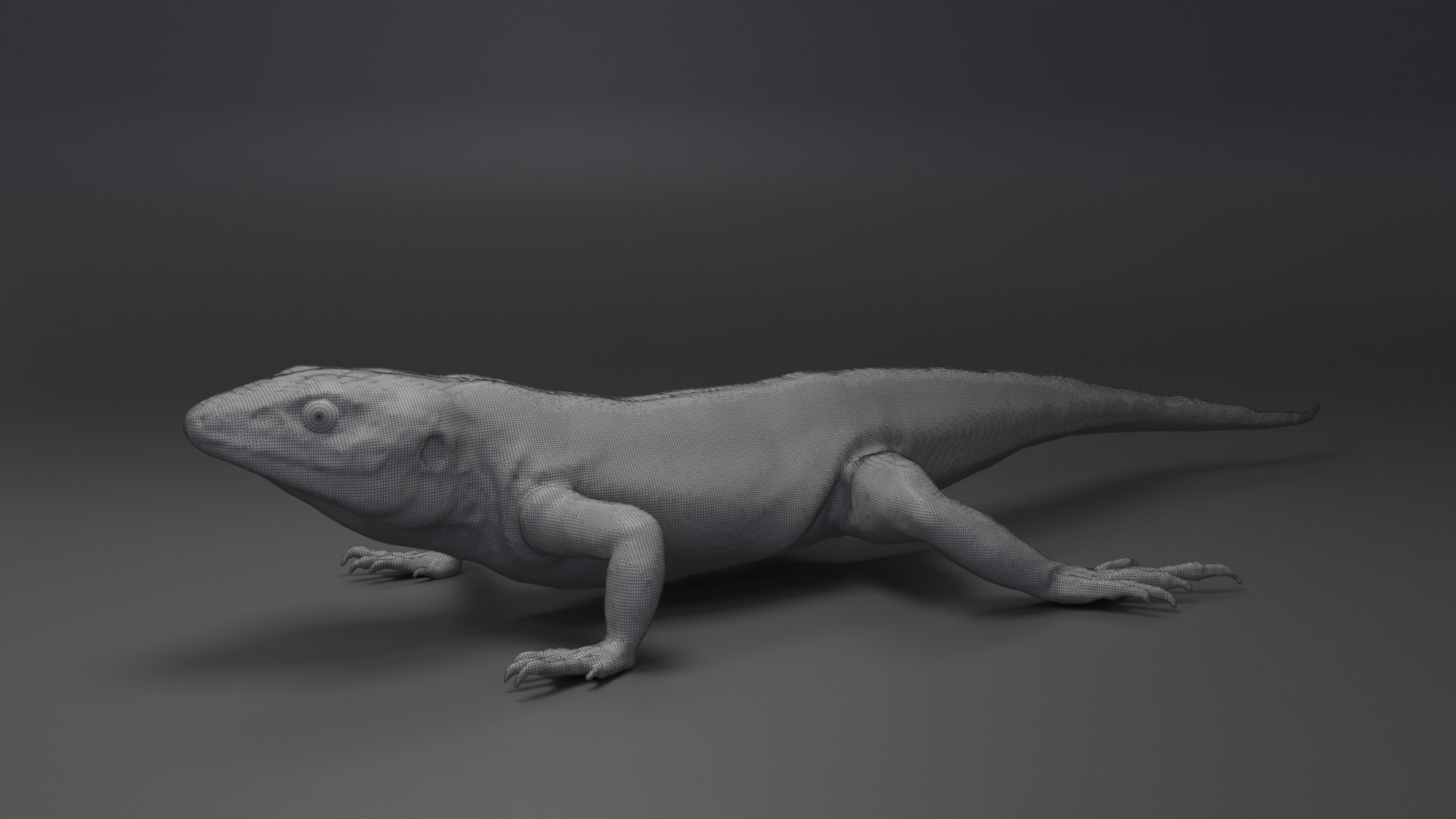 Lizard Sculpt 3D Model - TurboSquid 2102095