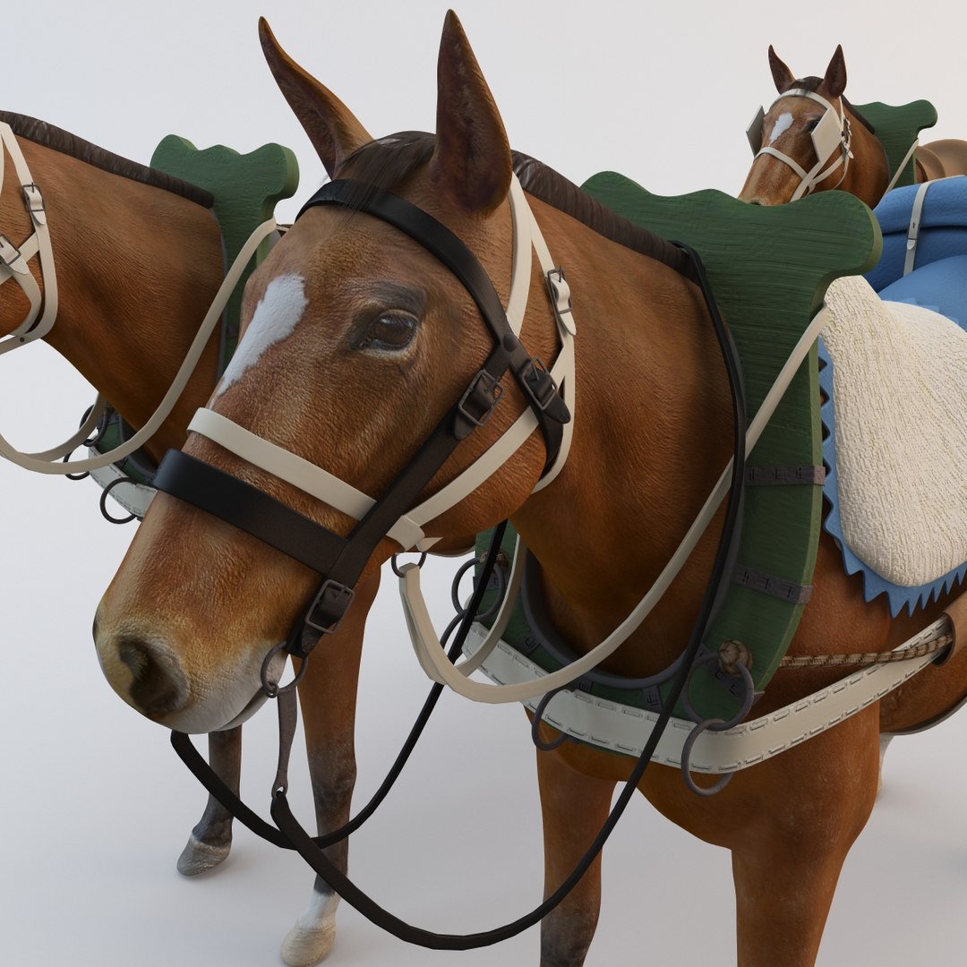 gribeauval caisson horses 3d max