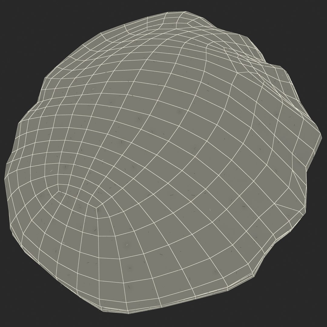 Max Military Beret