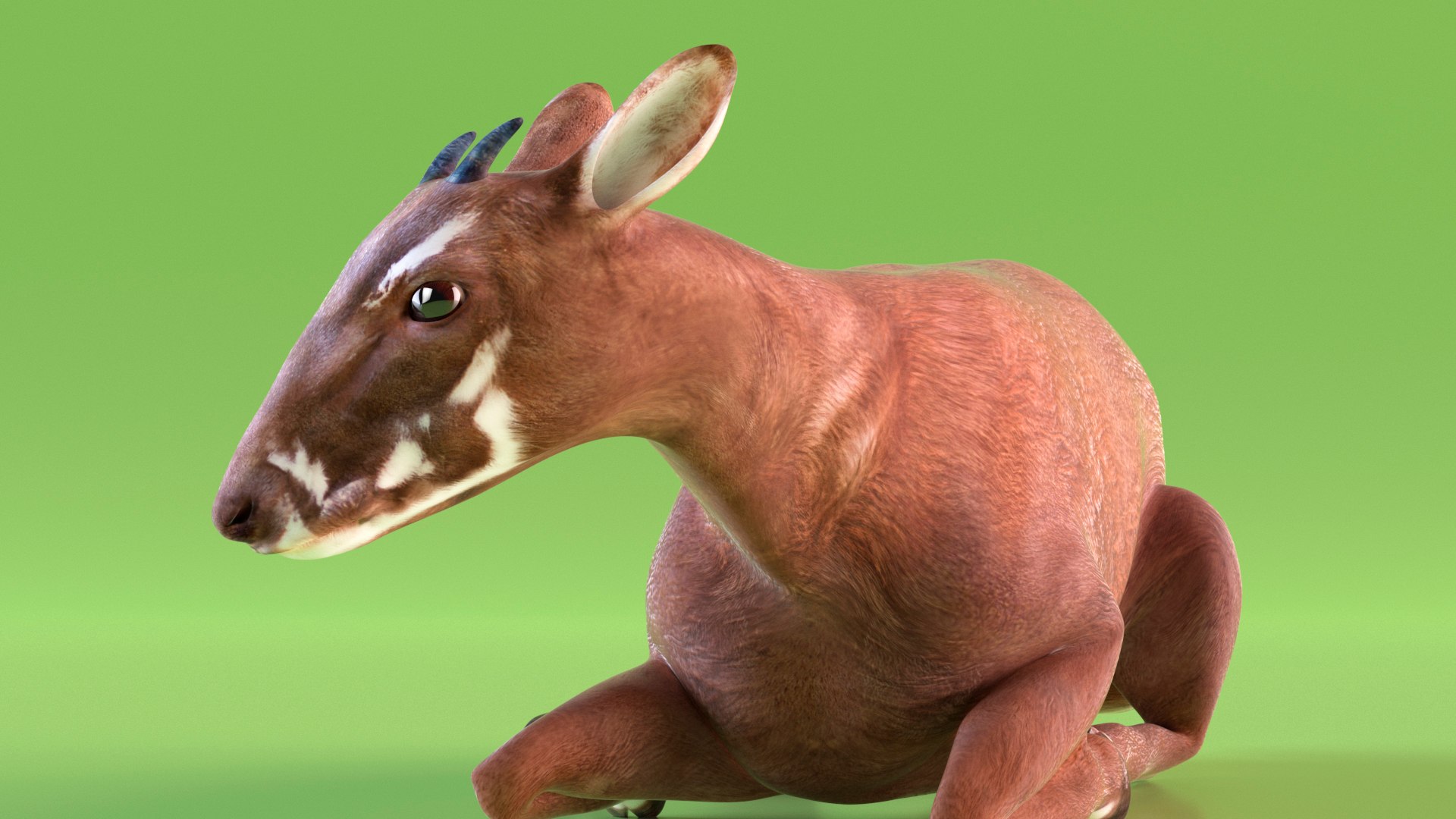 3D Saola Reclining - TurboSquid 2202829