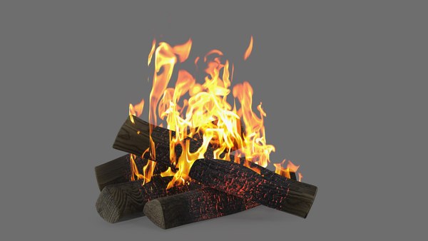 Bonfire burning 3D model - TurboSquid 1486664