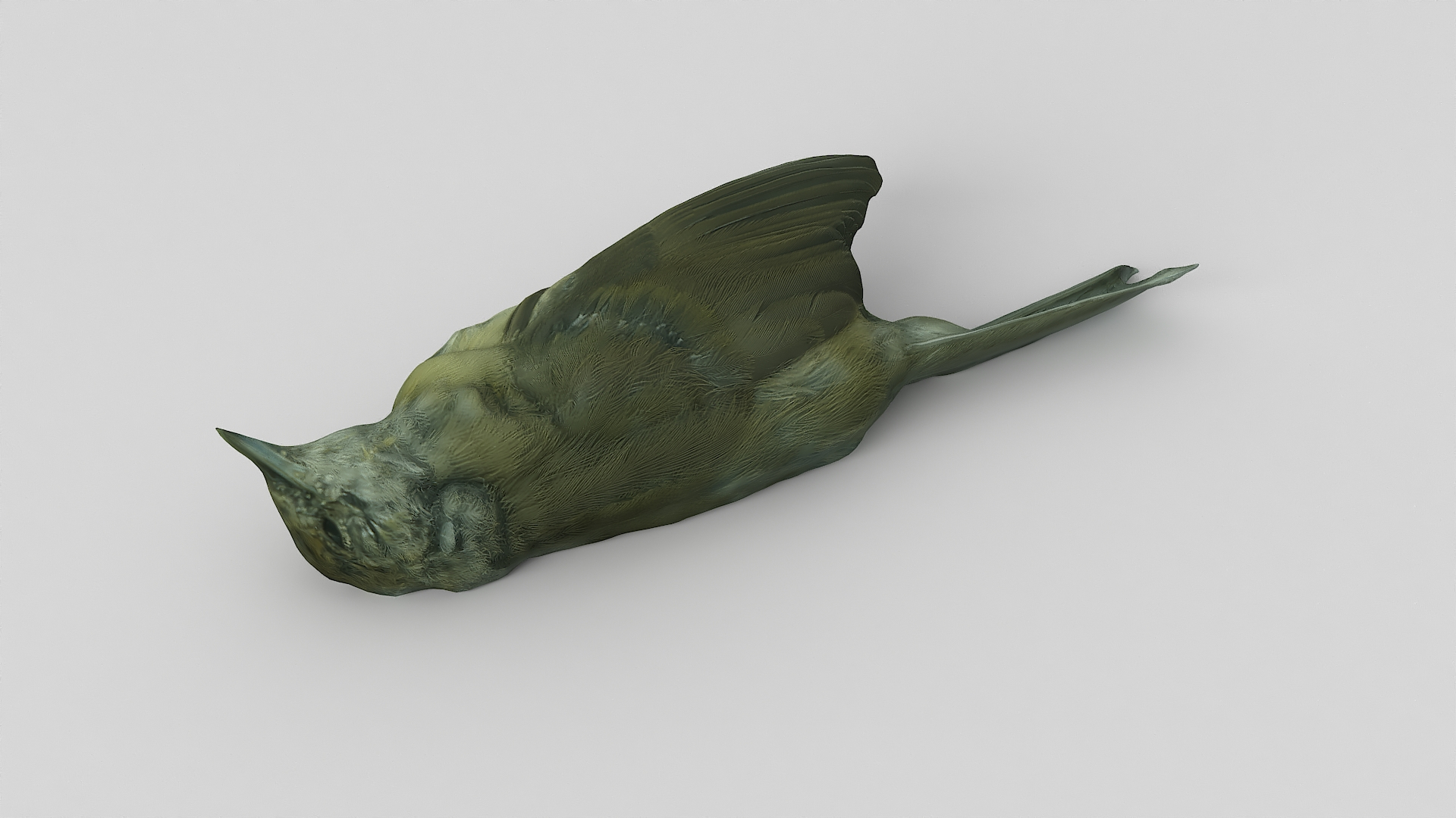 Dead Bird 01 3D Model - TurboSquid 1769996