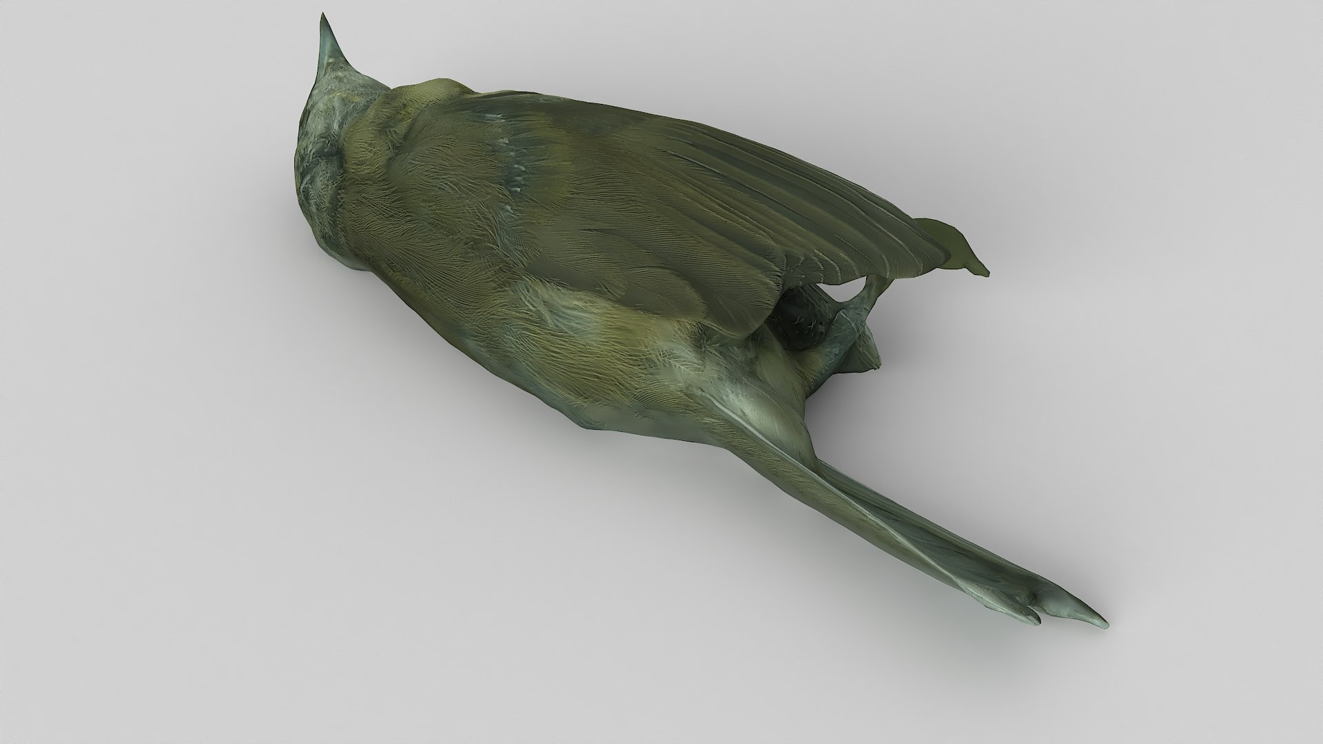 Dead Bird 01 3D Model - TurboSquid 1769996