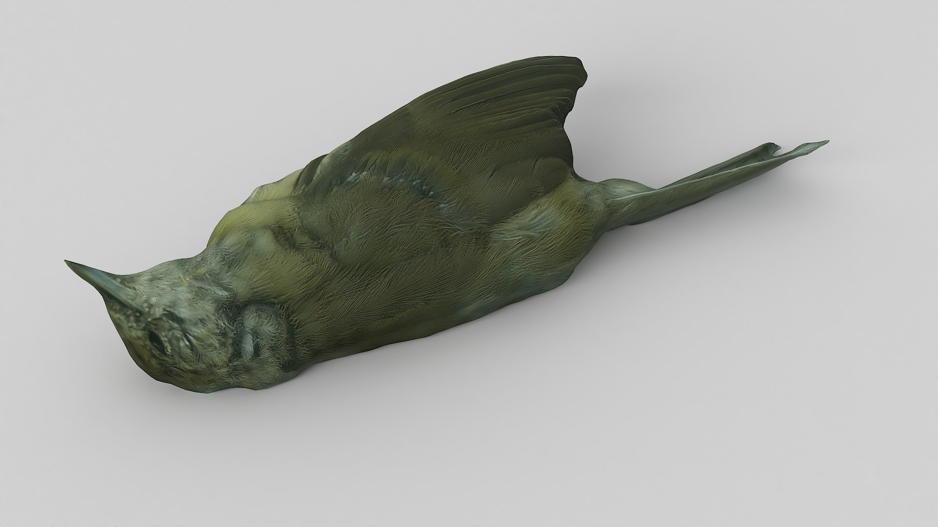 Dead Bird 01 3D Model - TurboSquid 1769996