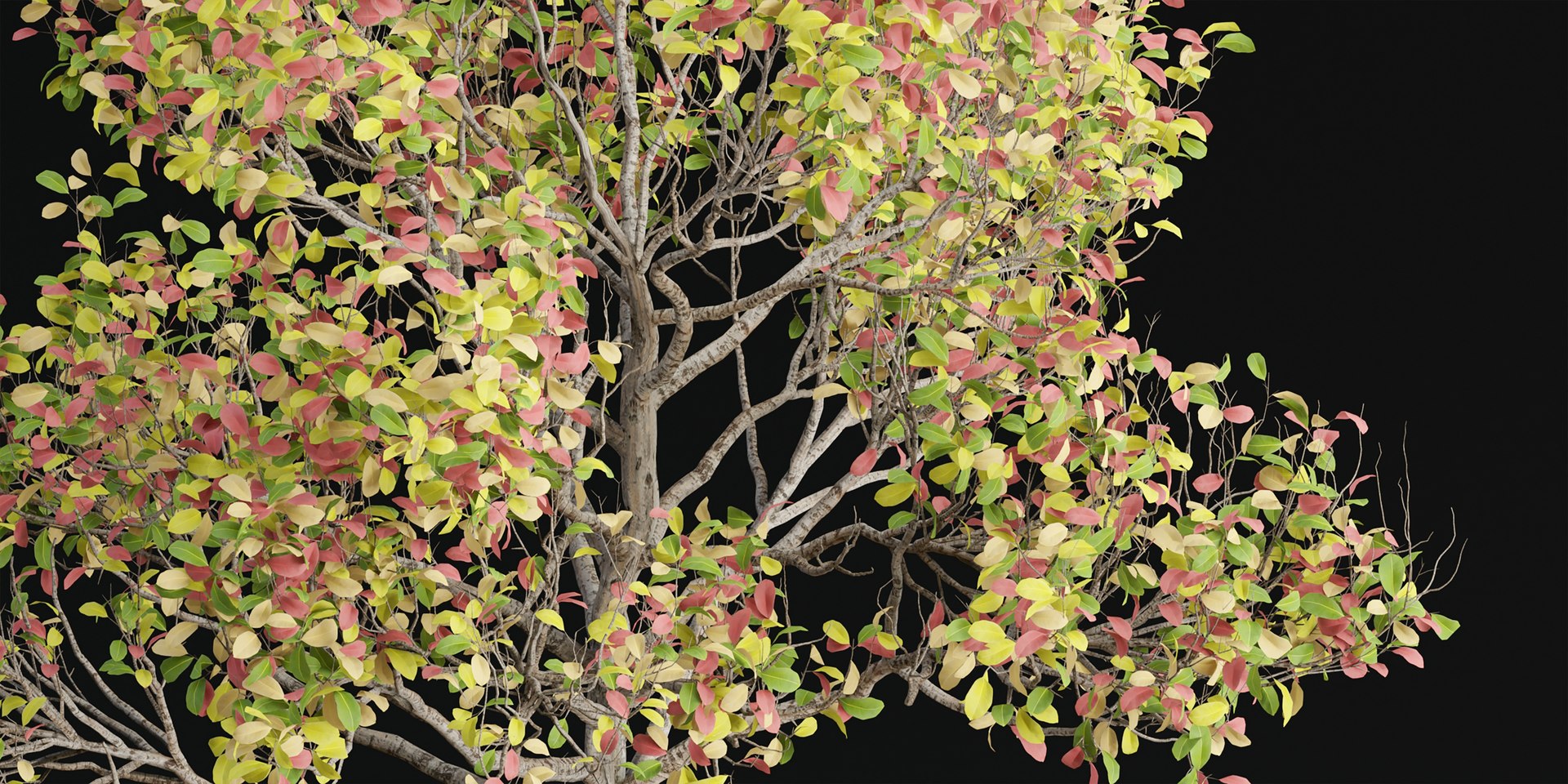 3D Autumn trees collection vol 32-Blender model - TurboSquid 2111551