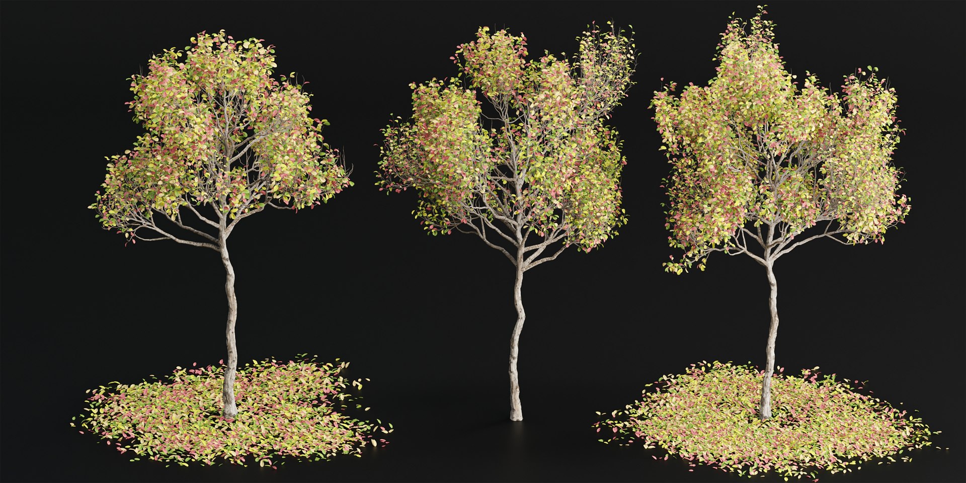 3D Autumn trees collection vol 32-Blender model - TurboSquid 2111551