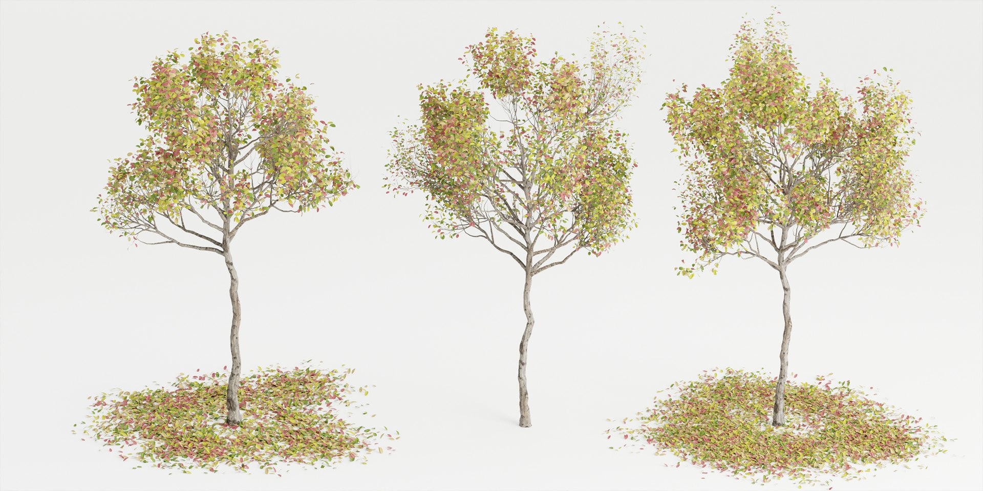 3D Autumn trees collection vol 32-Blender model - TurboSquid 2111551