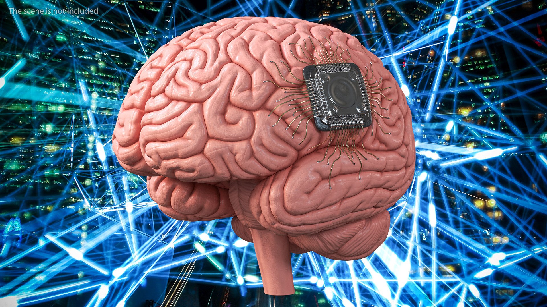 Human Brain With Implanted Microchip 3D Model - TurboSquid 2262580