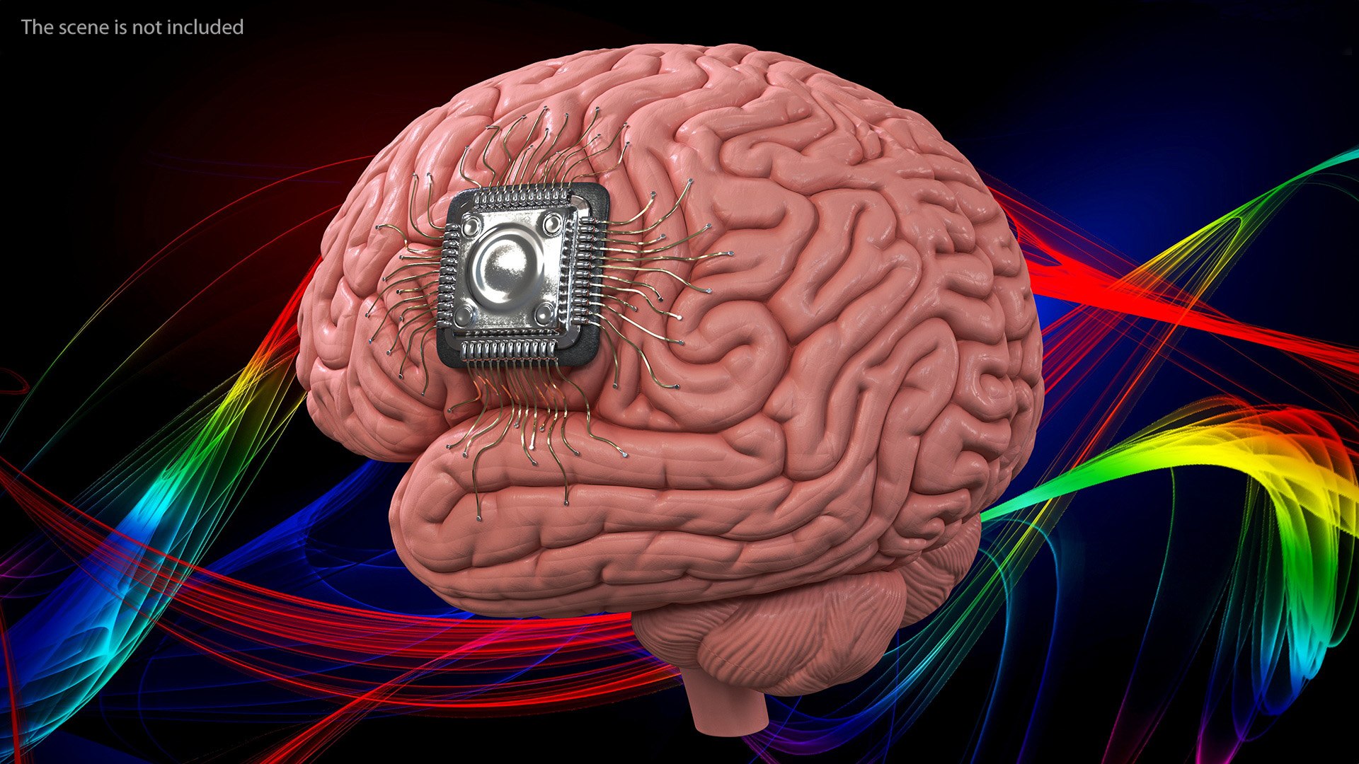Human Brain With Implanted Microchip 3D Model - TurboSquid 2262580