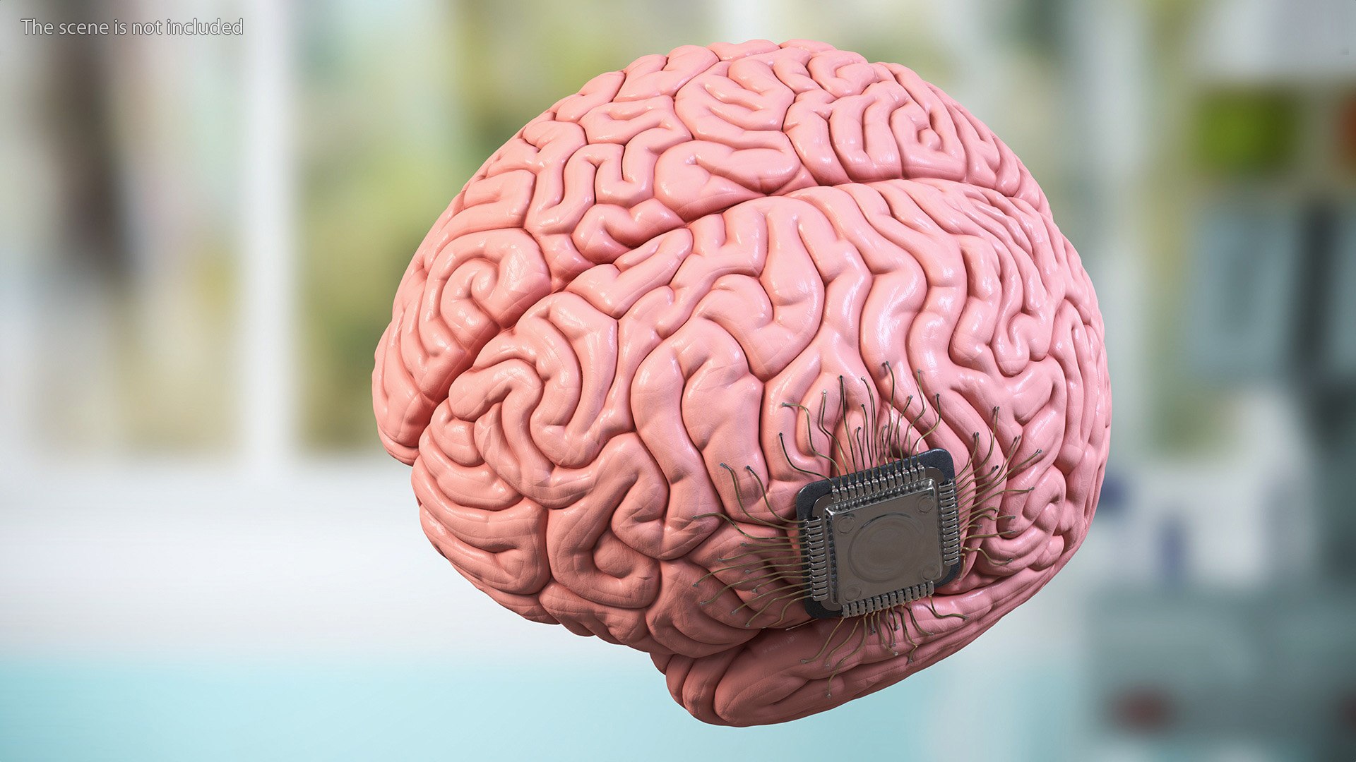 Human Brain With Implanted Microchip 3D Model - TurboSquid 2262580