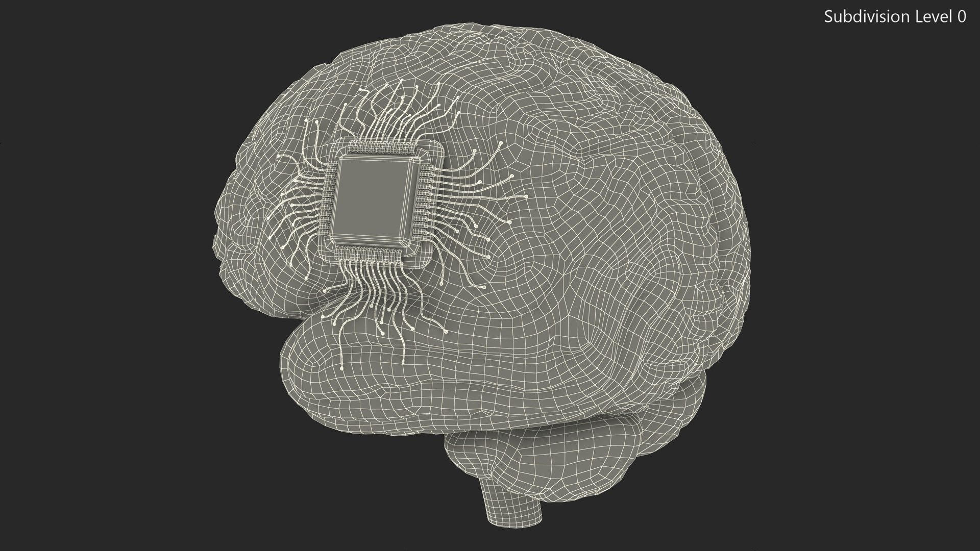 Human Brain With Implanted Microchip 3D Model - TurboSquid 2262580