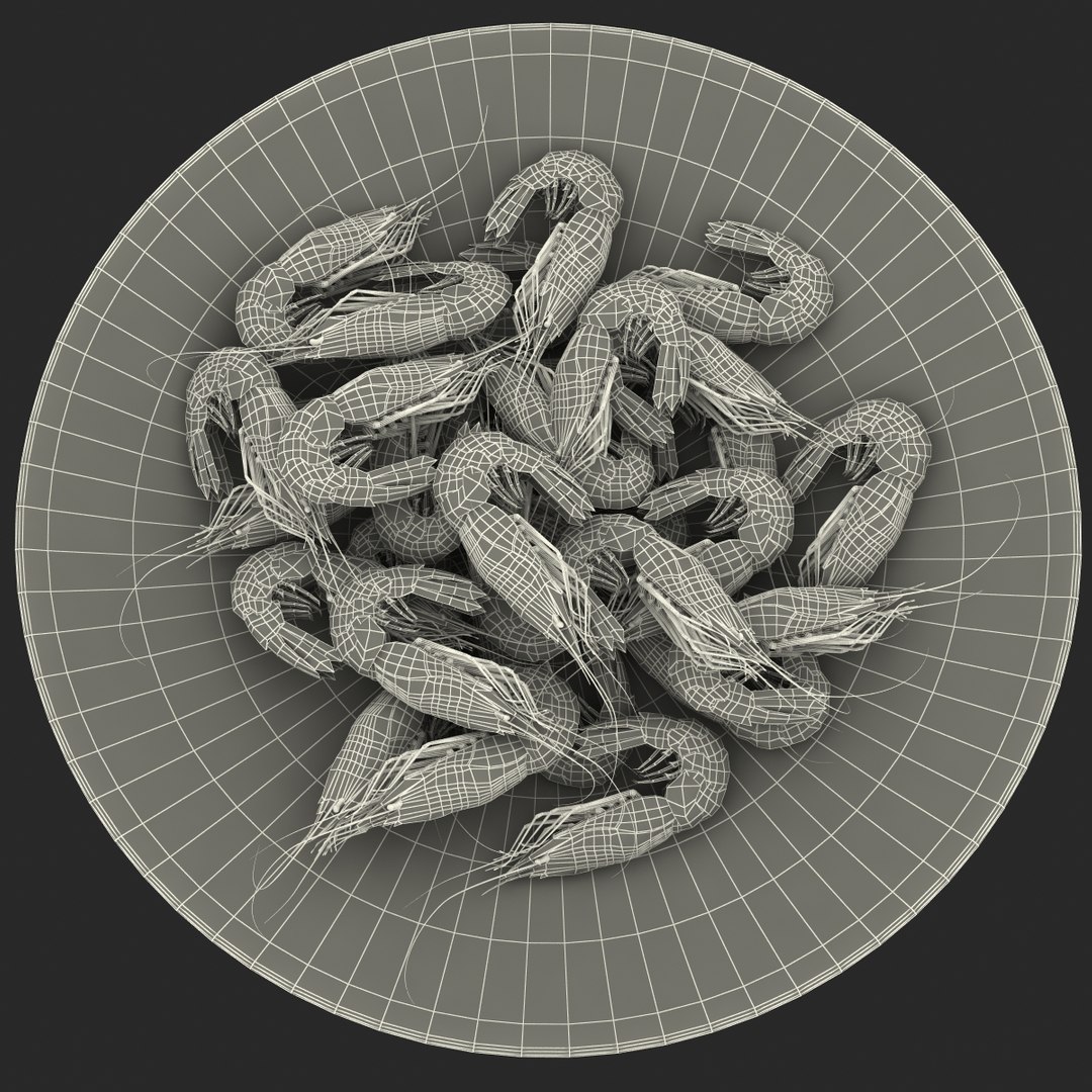 plate prawn 3d model