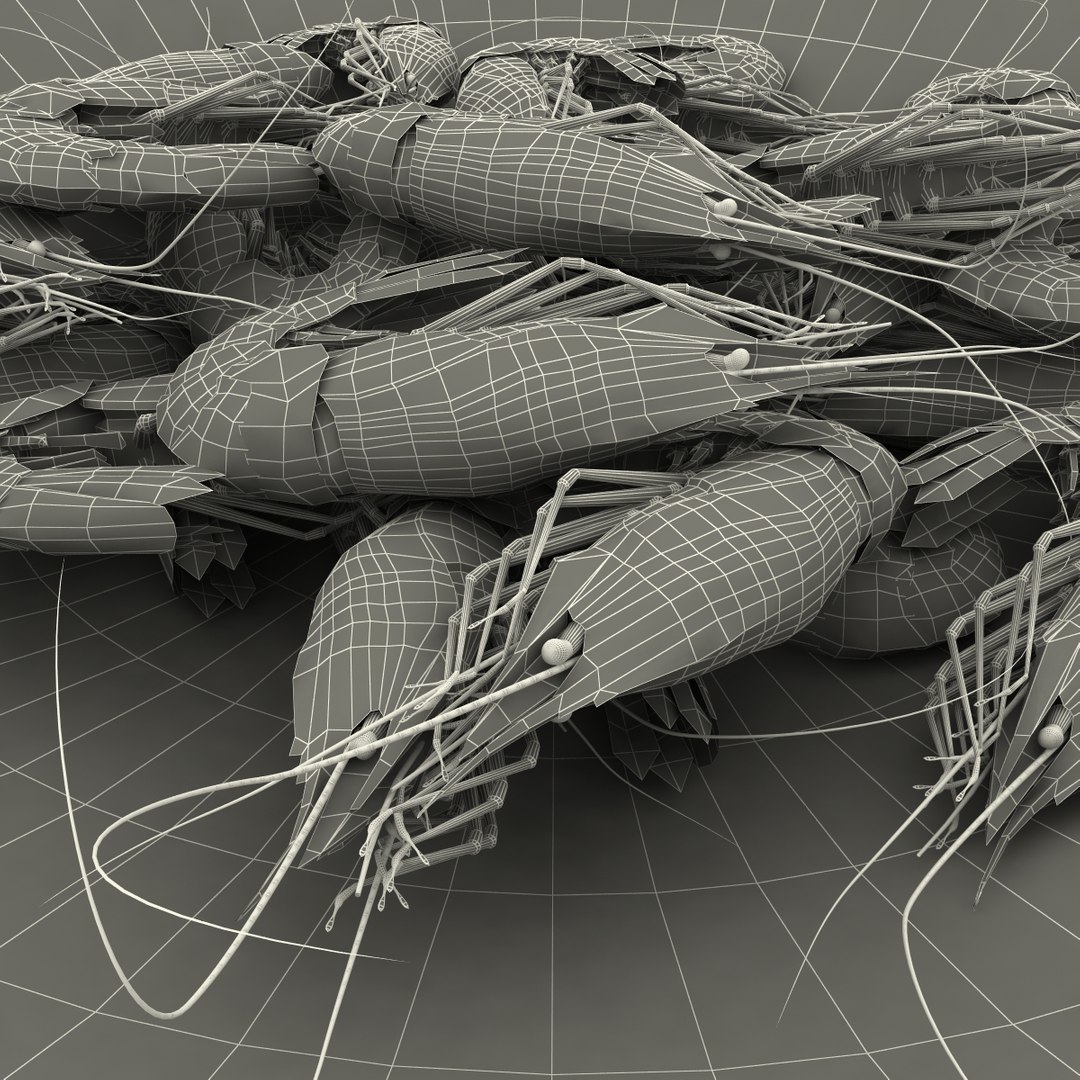 plate prawn 3d model