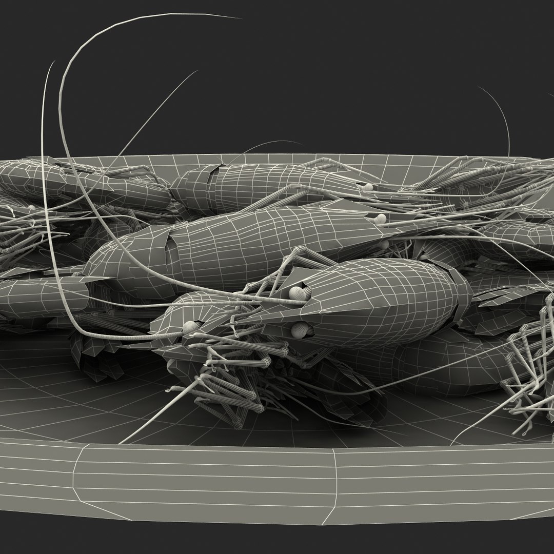 plate prawn 3d model