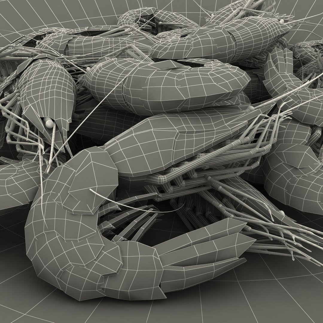 plate prawn 3d model