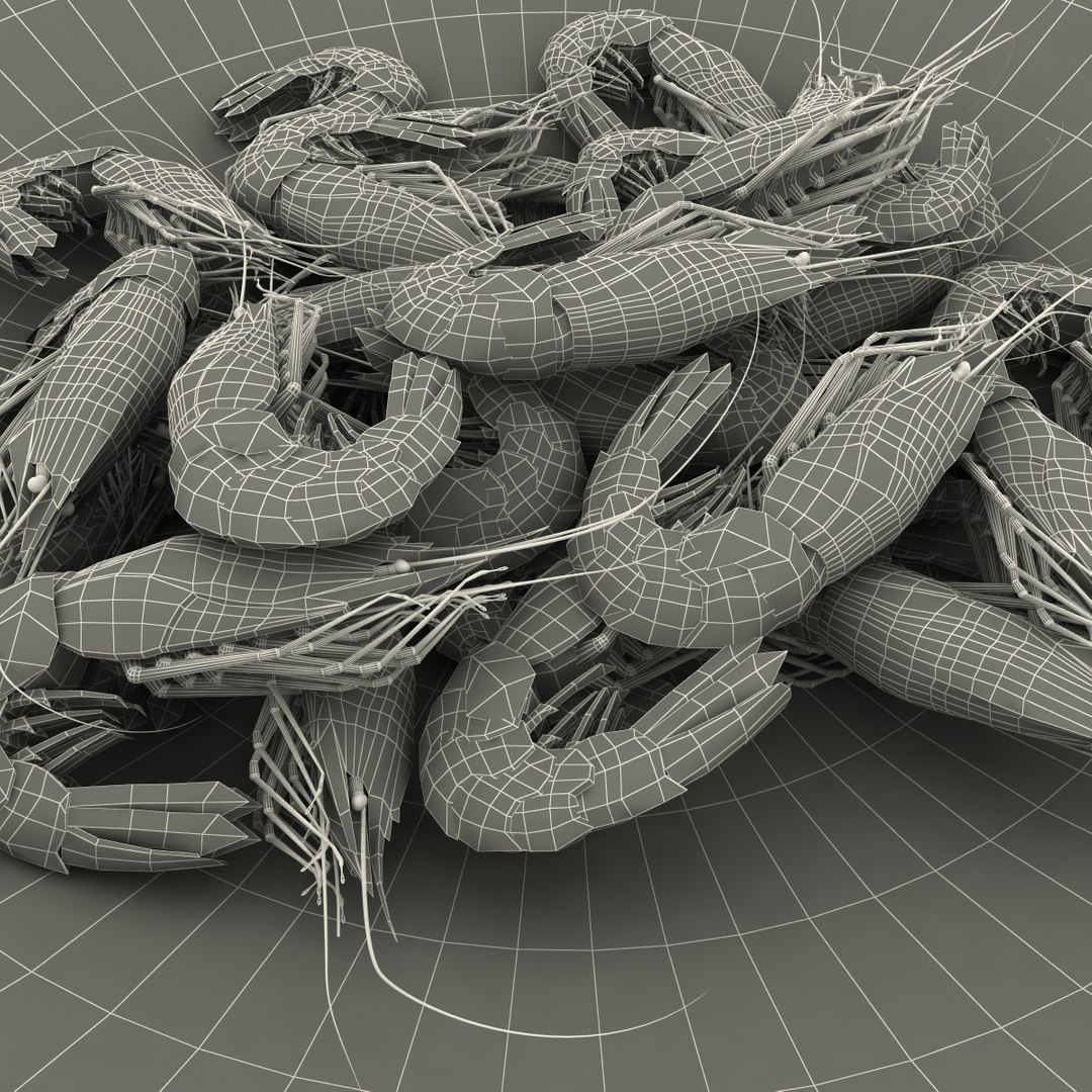 plate prawn 3d model