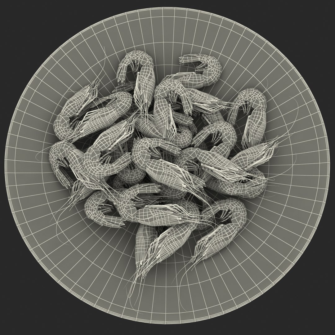 plate prawn 3d model