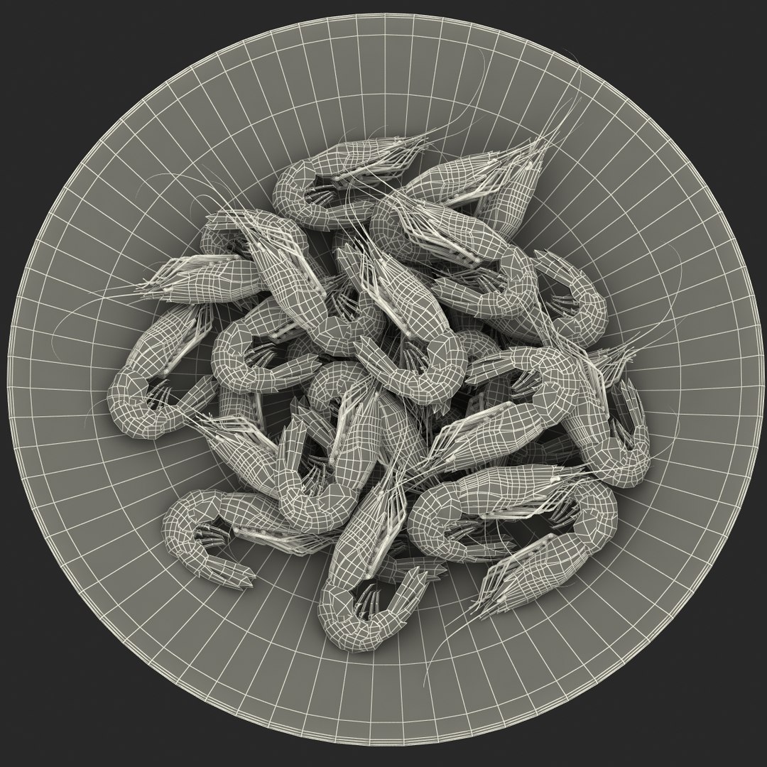 plate prawn 3d model