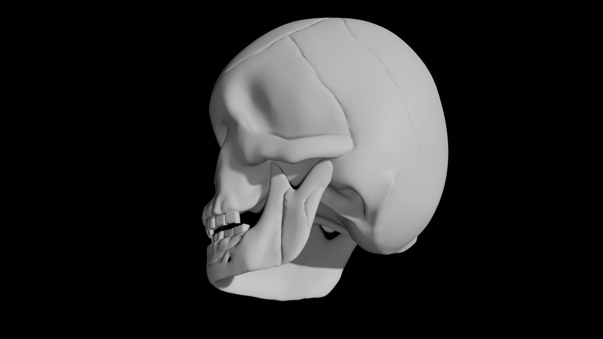 Child Skull Model - TurboSquid 1840199