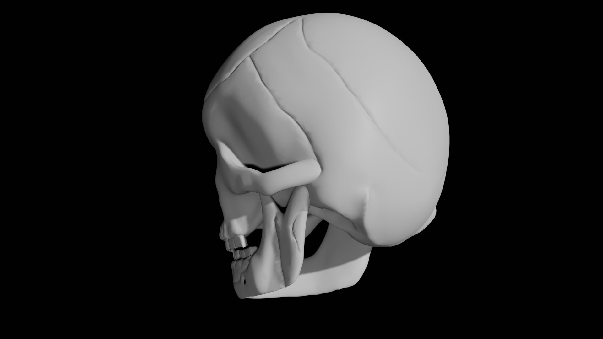 Child Skull Model - TurboSquid 1840199