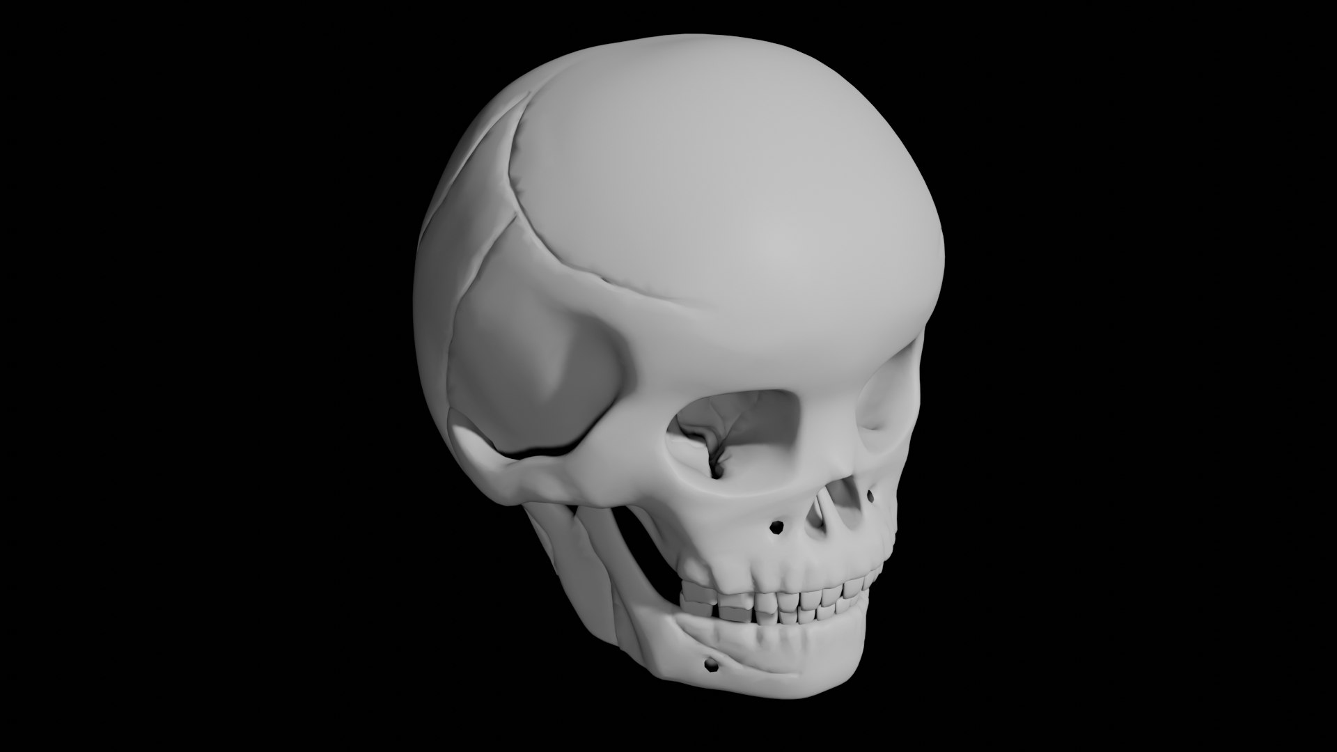 Child Skull Model - TurboSquid 1840199