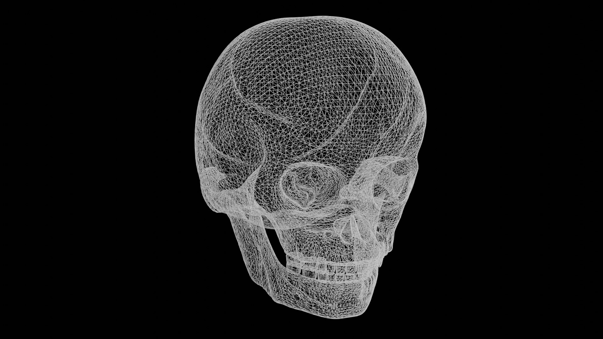 Child Skull Model - TurboSquid 1840199