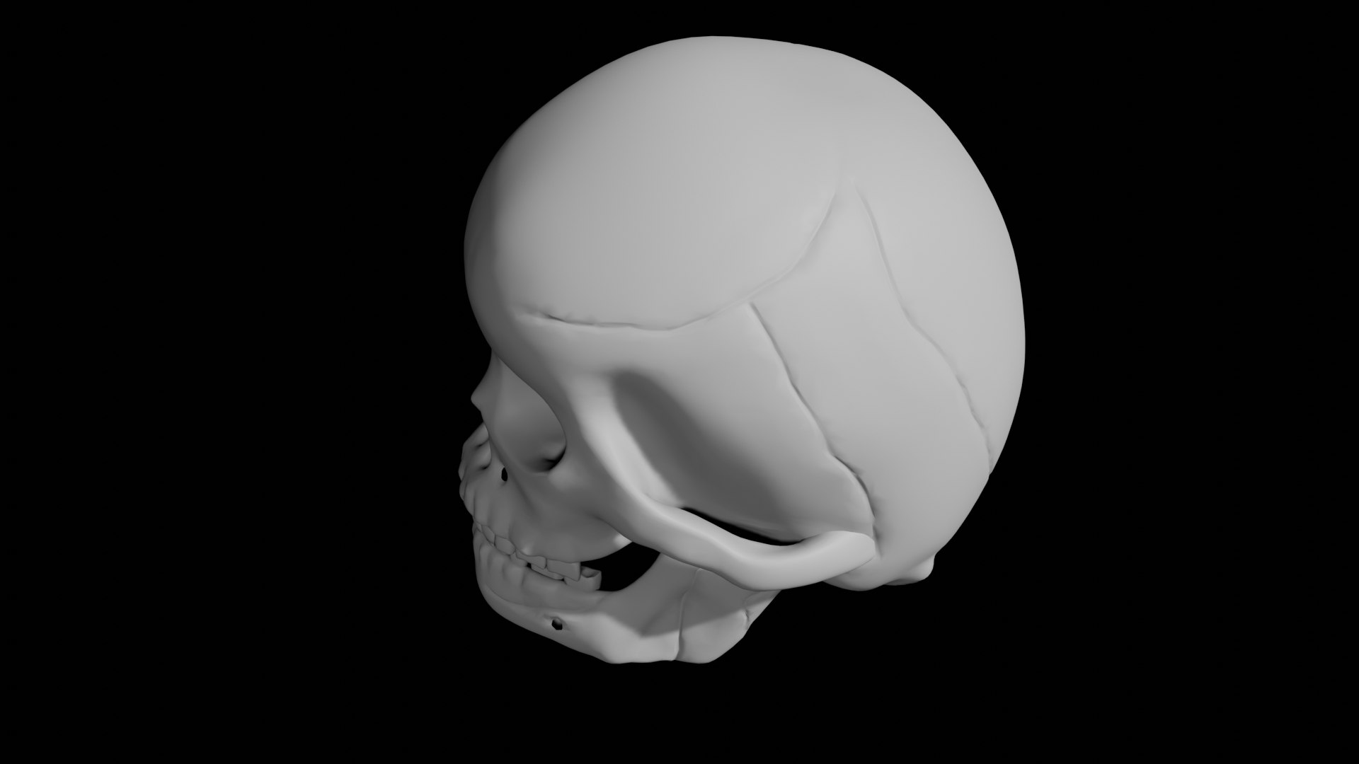 Child Skull Model - TurboSquid 1840199