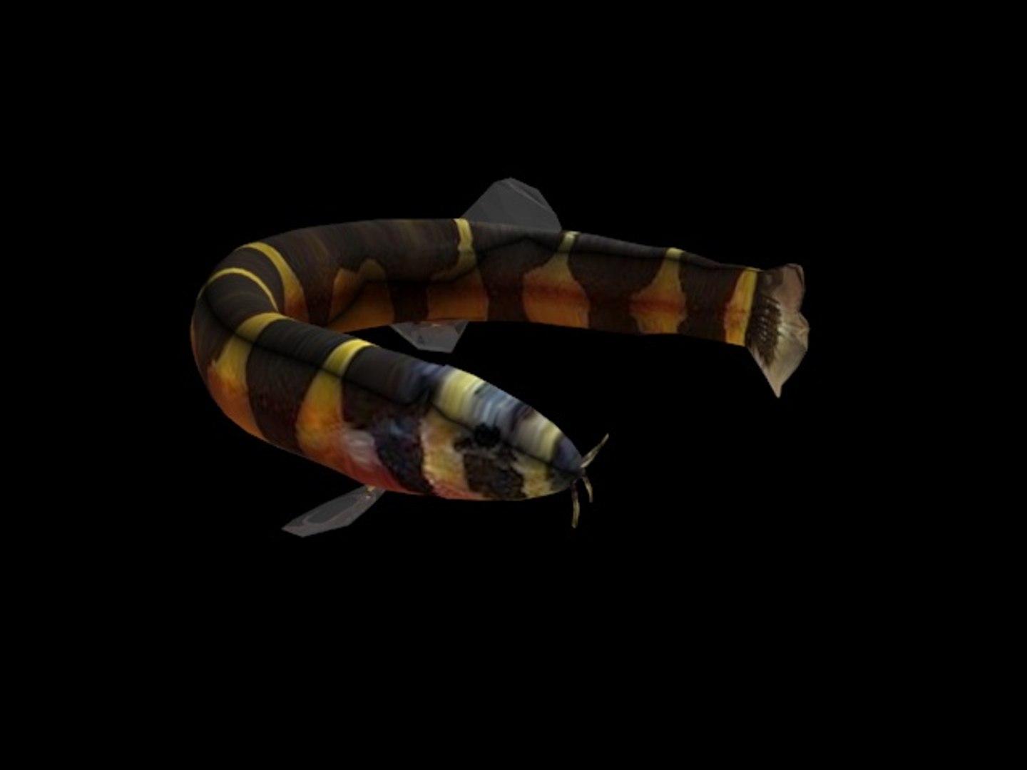 3D Rigged Kuhli Fish - TurboSquid 1227026