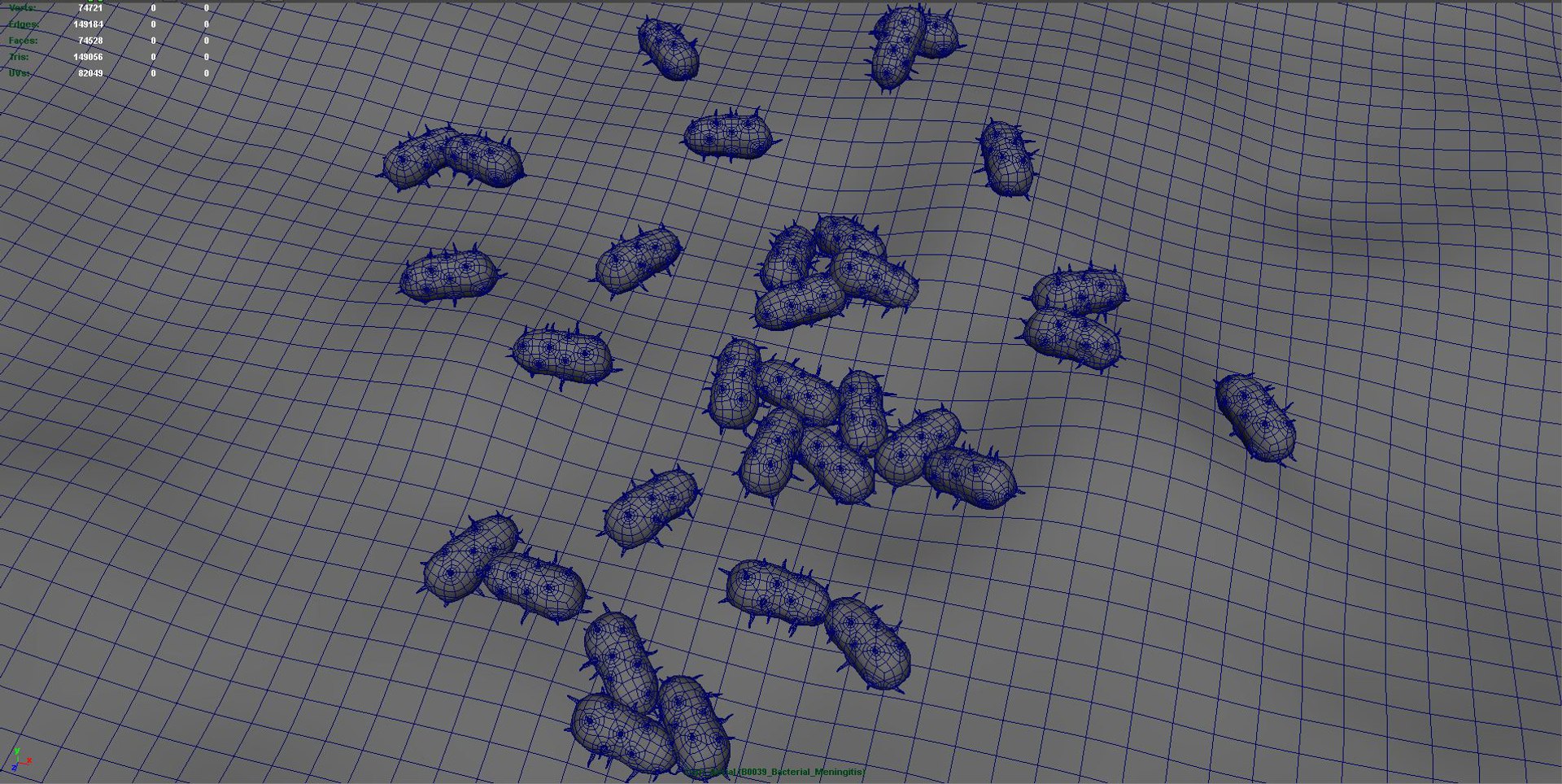Bacterial Meningitis 3d Model