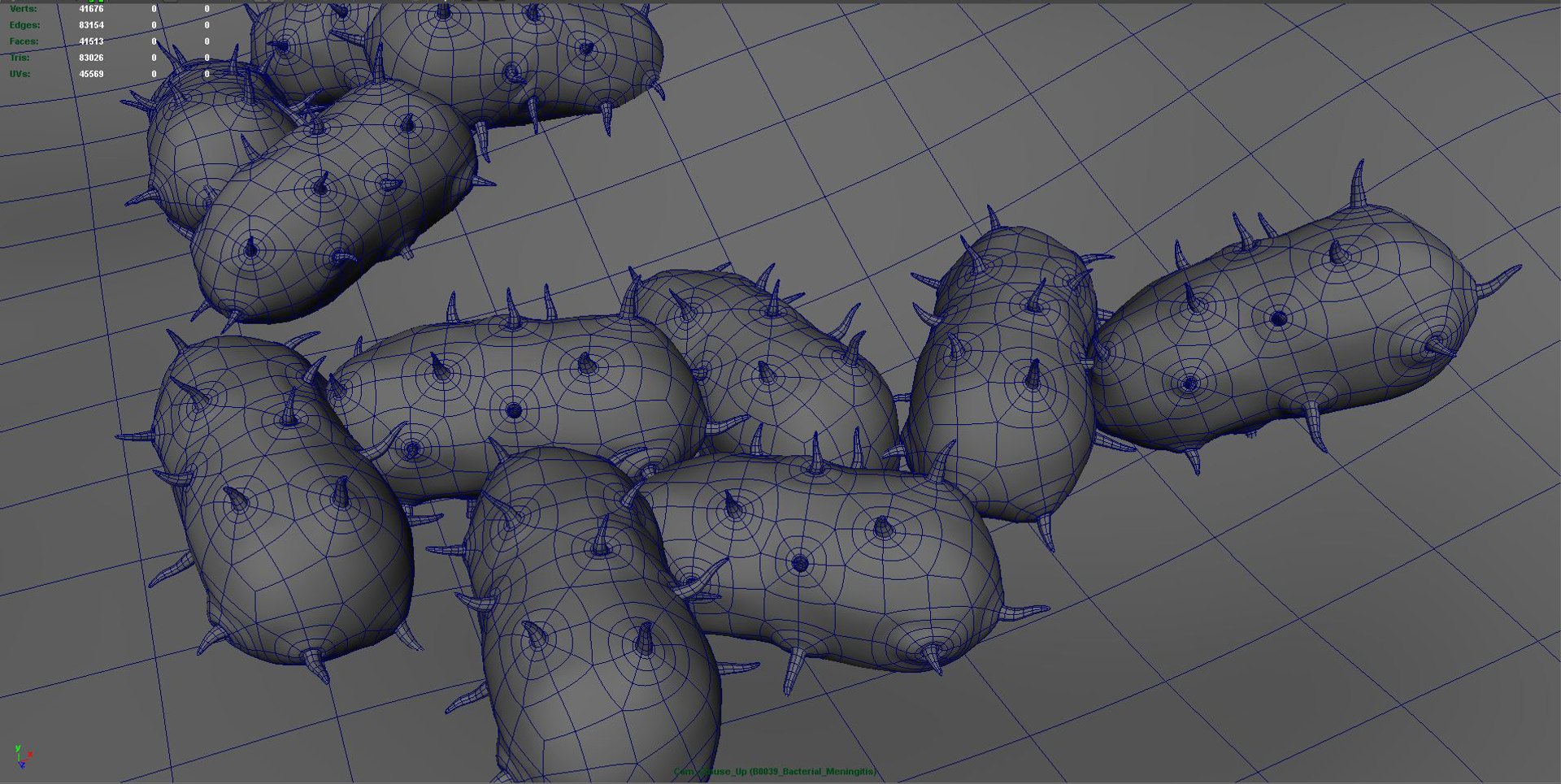 Bacterial Meningitis 3d Model