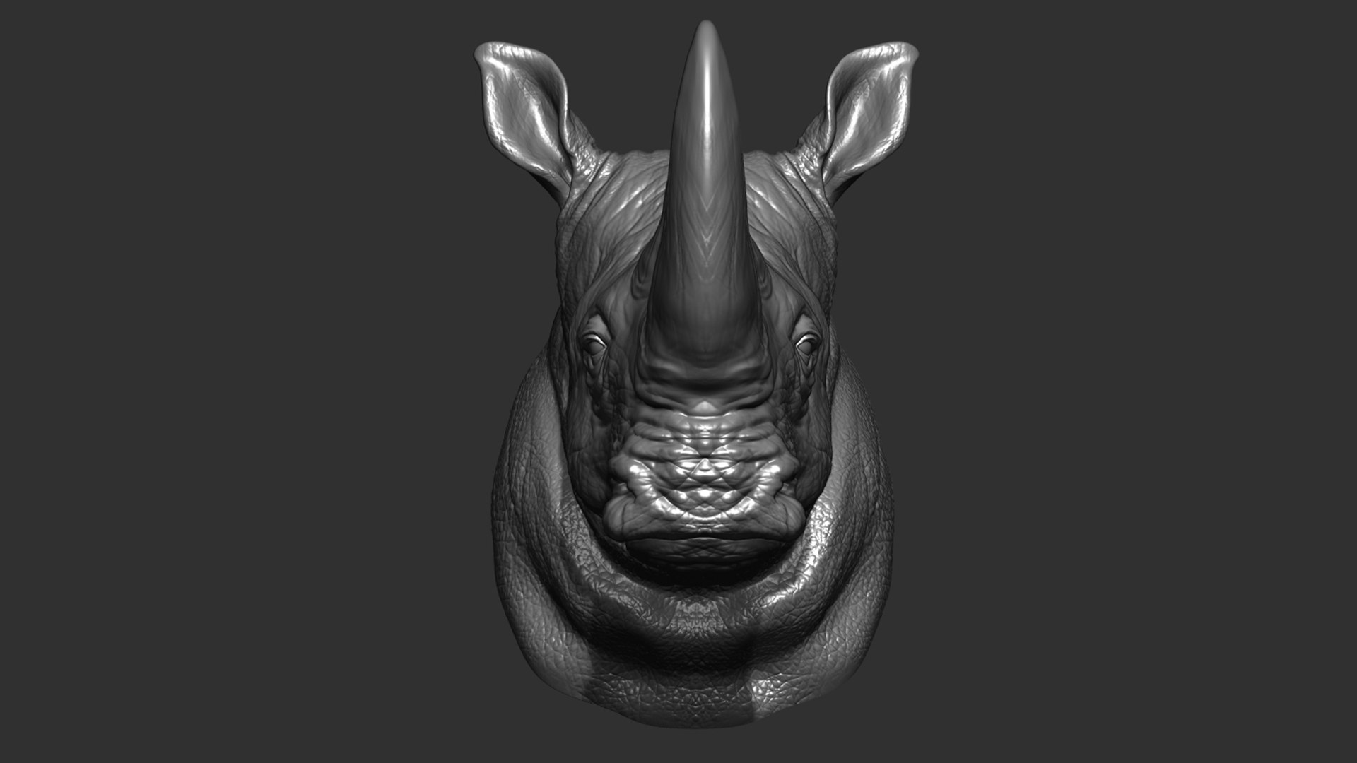 3D Model Rhinoceros Head - TurboSquid 1858581