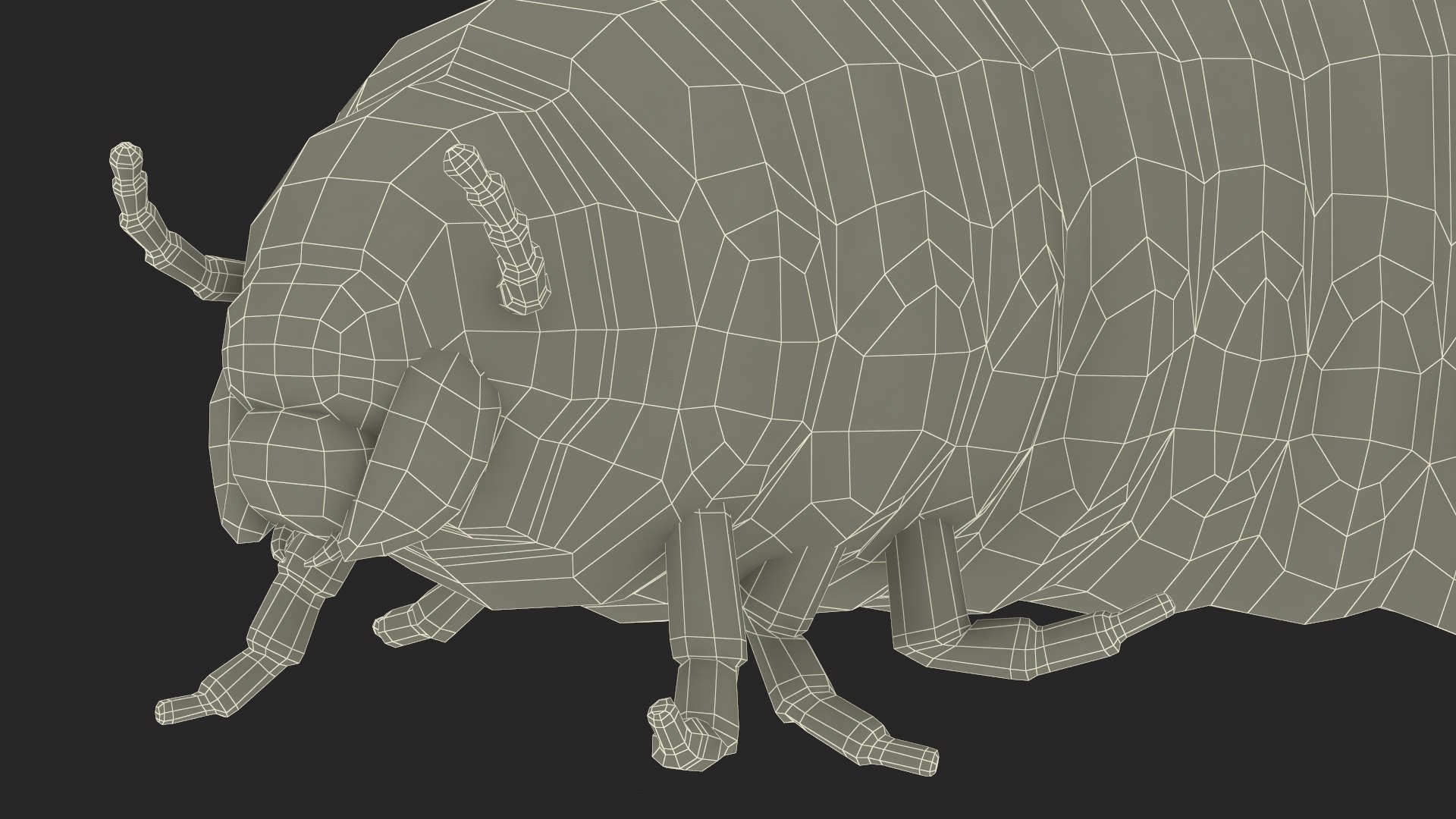 Maggot May Bug Rigged 3D - TurboSquid 2166881