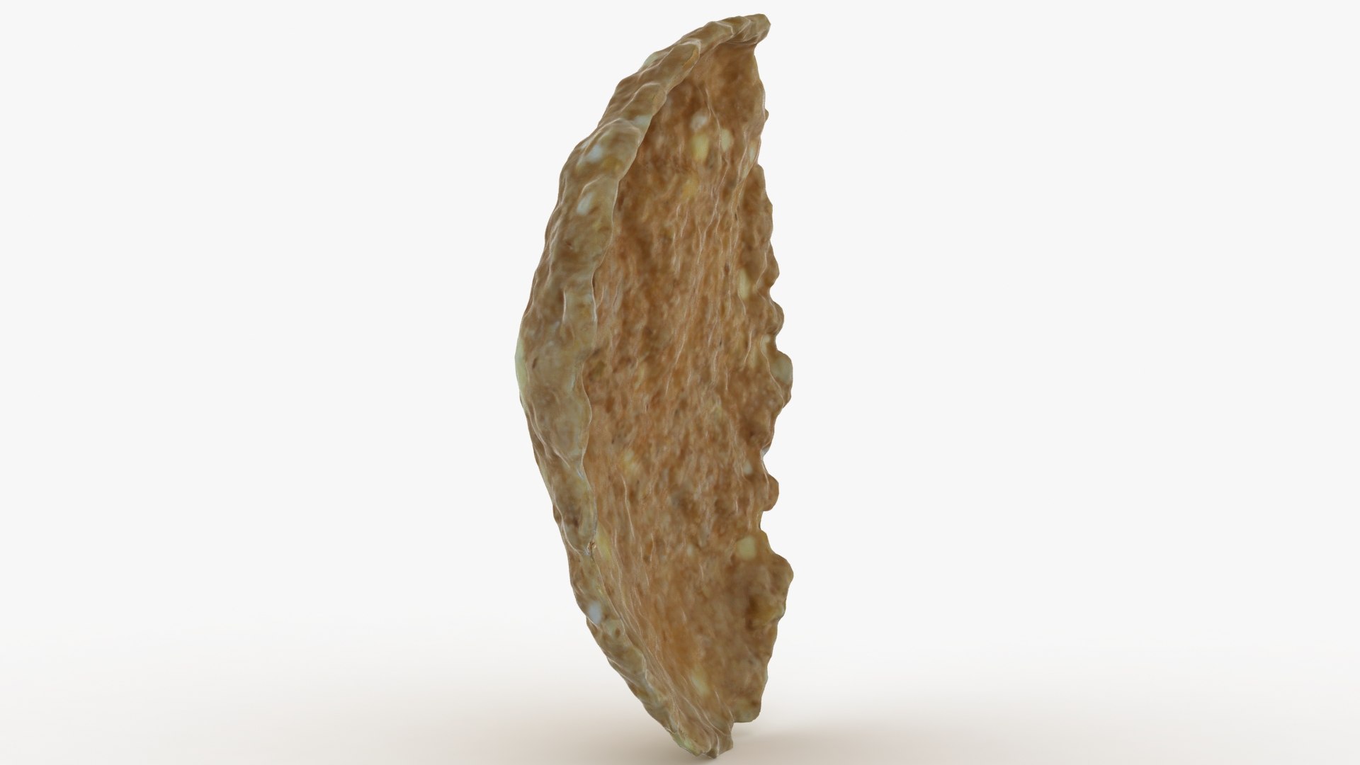 Grain cereal 3D model - TurboSquid 1697923