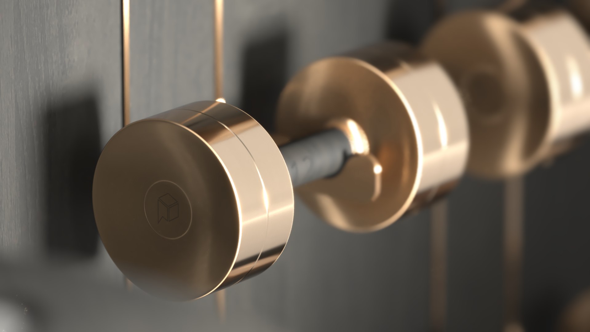 Free Paragon Studio Luxury Gym Equipment Wall Storage Unit - 3 Panel 3D ...