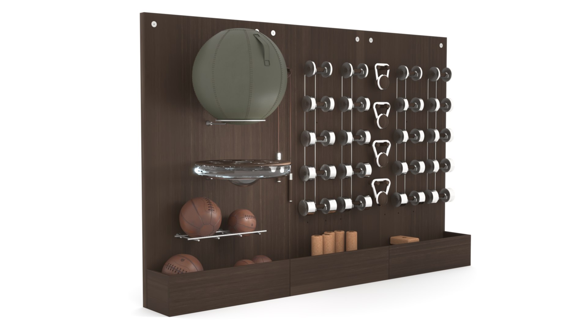 Free Paragon Studio Luxury Gym Equipment Wall Storage Unit - 3 Panel 3D ...