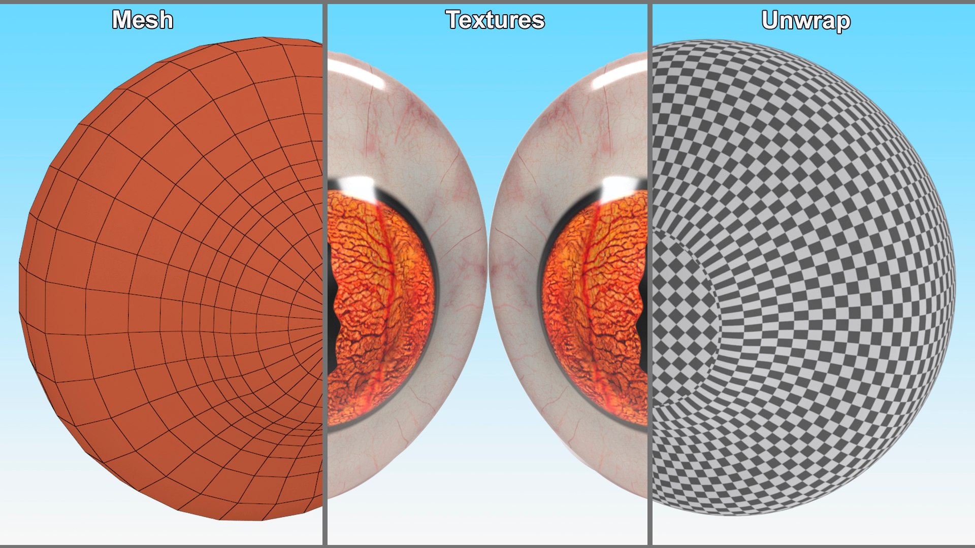 3D Realistic Mesmerizing Lizard Eye - TurboSquid 2195792