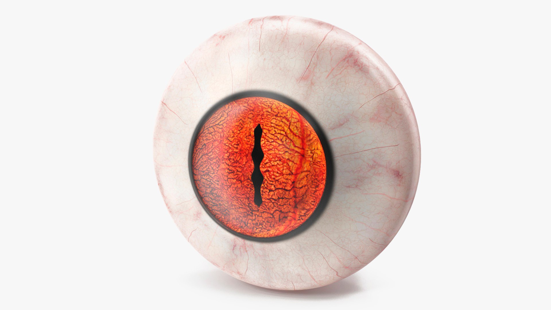 3D Realistic Mesmerizing Lizard Eye - TurboSquid 2195792