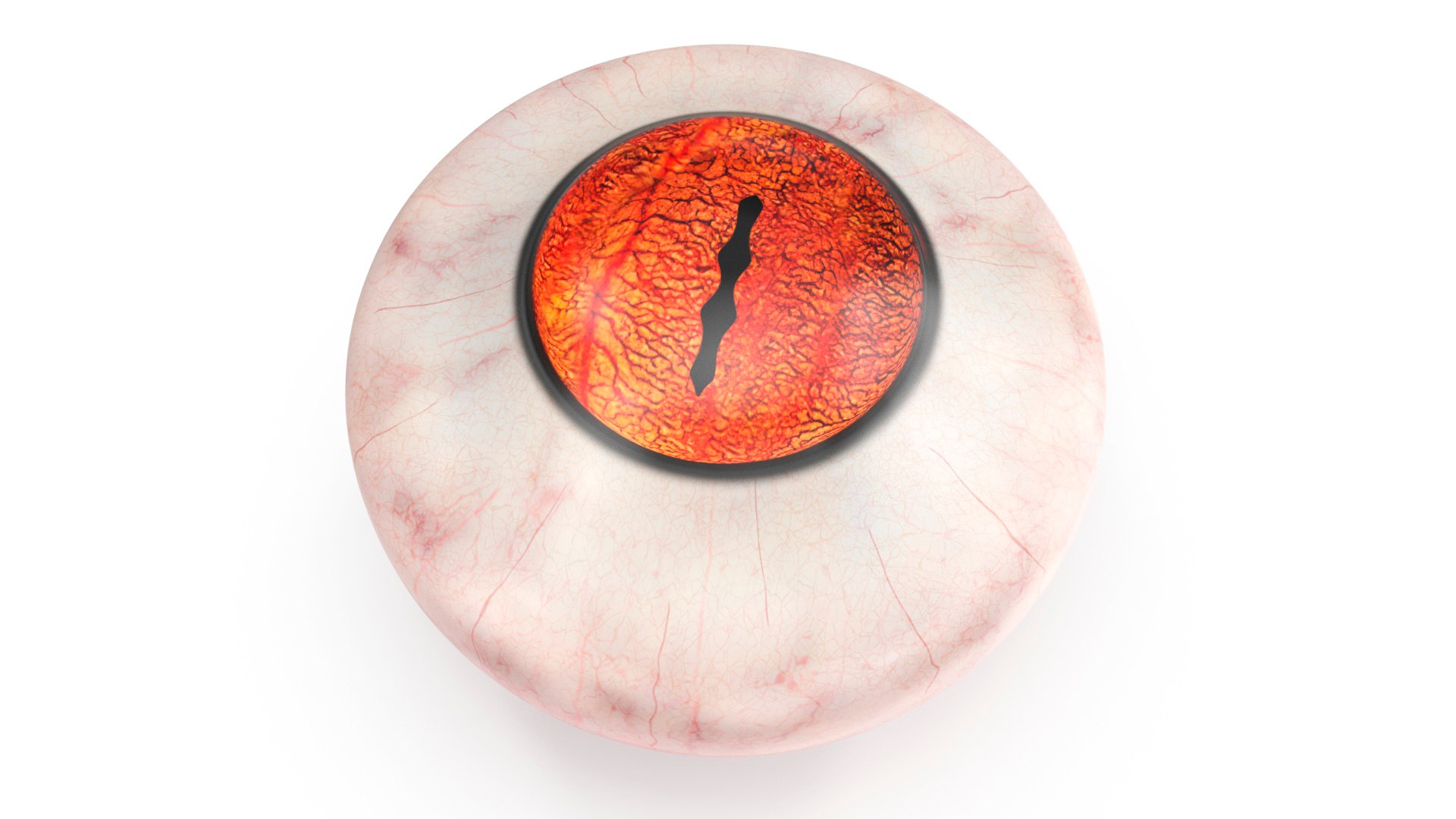 3D Realistic Mesmerizing Lizard Eye - TurboSquid 2195792
