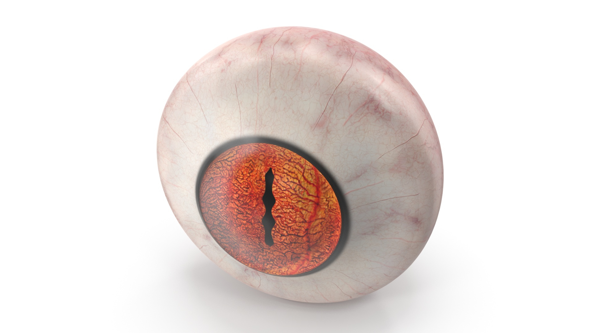 3D Realistic Mesmerizing Lizard Eye - TurboSquid 2195792