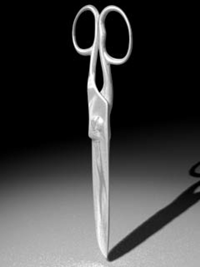 3d model taylor scissors