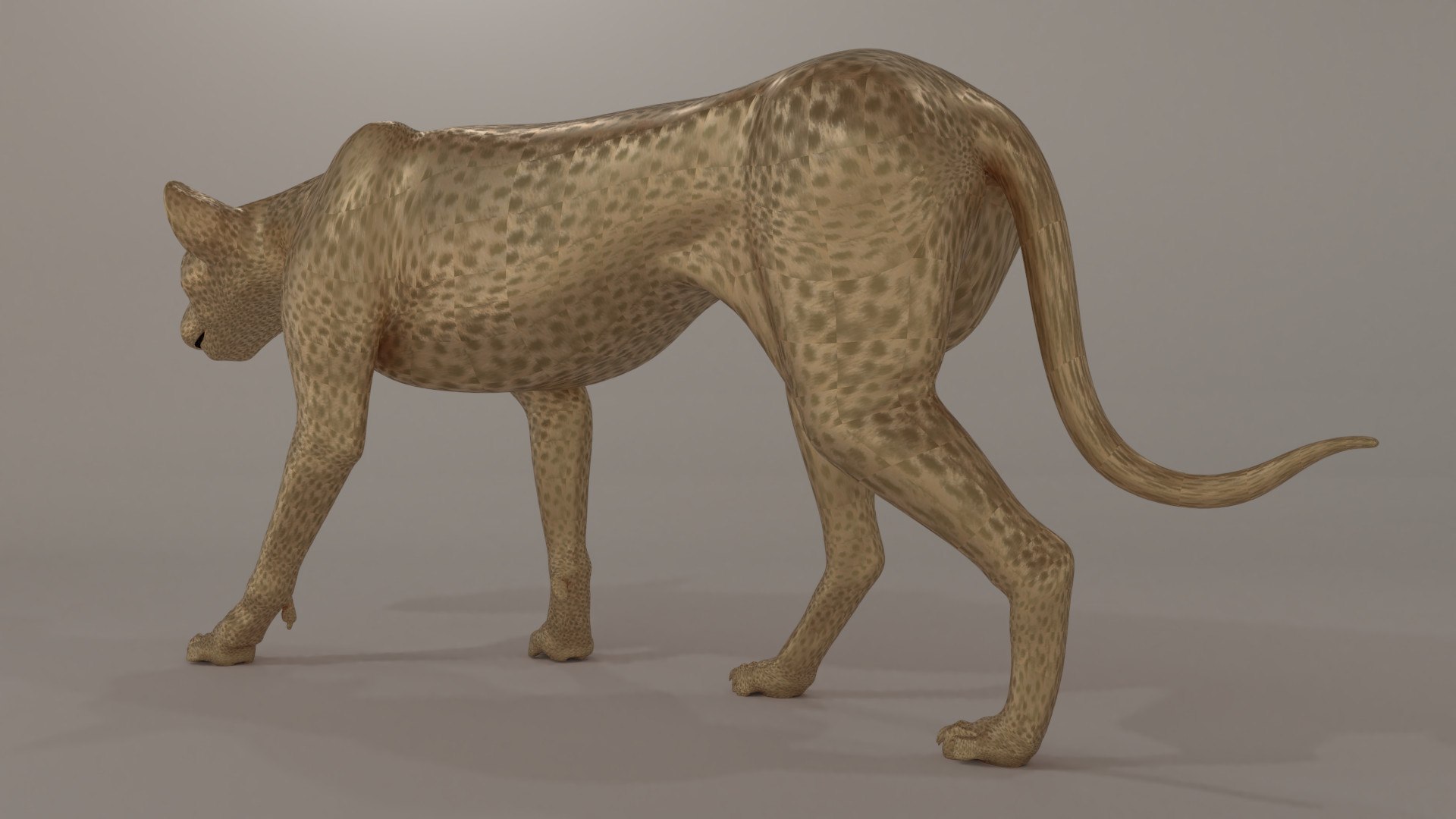 3D sculpting cheetah model - TurboSquid 1228766
