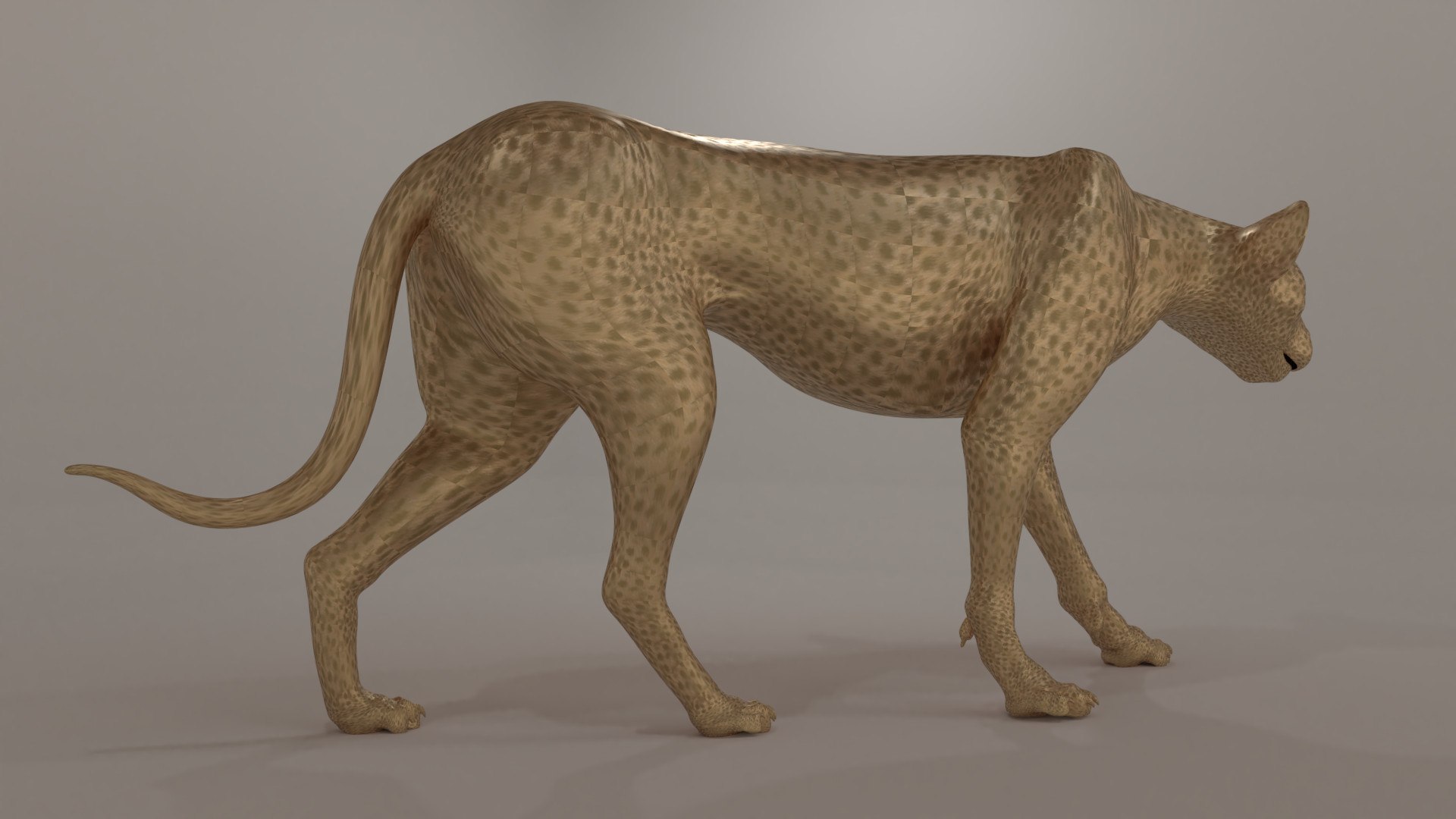 3D sculpting cheetah model - TurboSquid 1228766