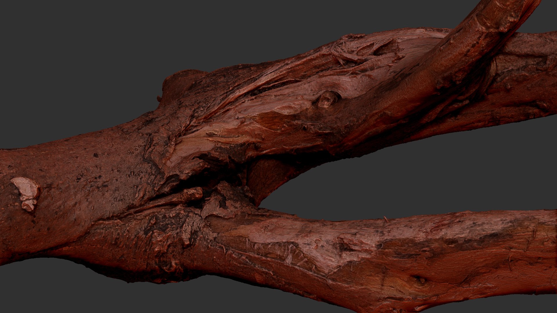 3D Tree Branch 3d Scan - TurboSquid 2204679