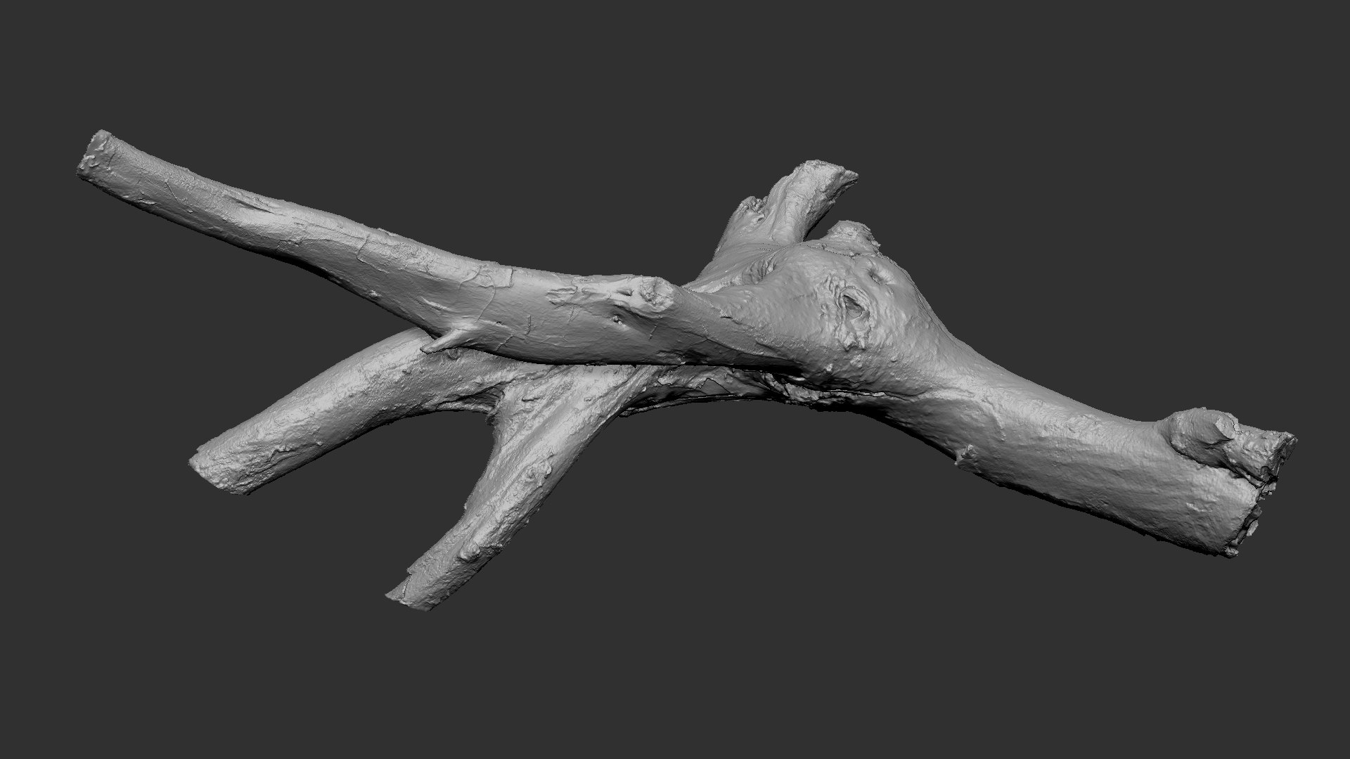 3D Tree Branch 3d Scan - TurboSquid 2204679