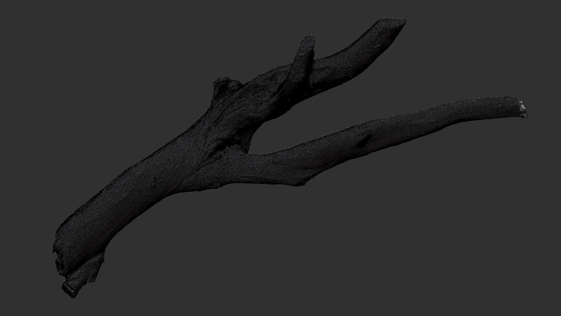 3D Tree Branch 3d Scan - TurboSquid 2204679