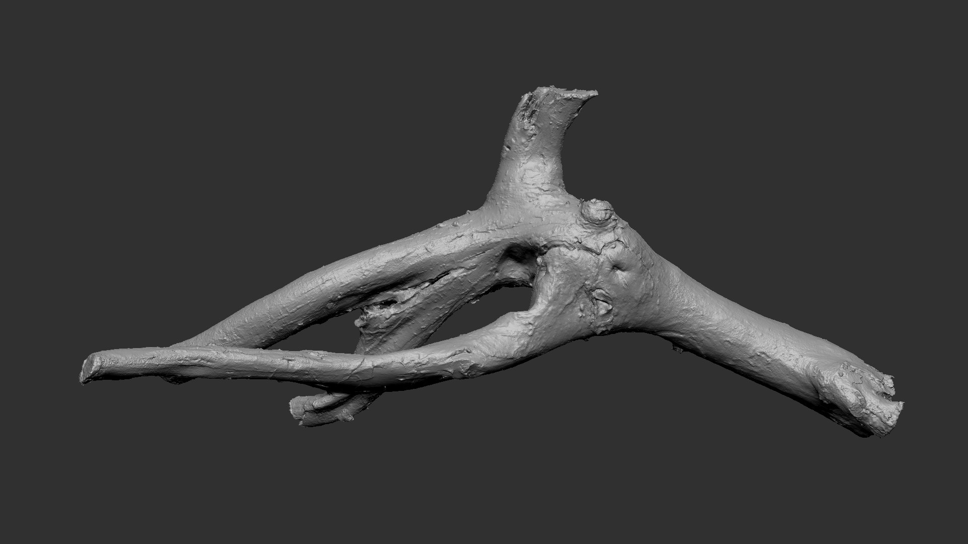 3D Tree Branch 3d Scan - TurboSquid 2204679