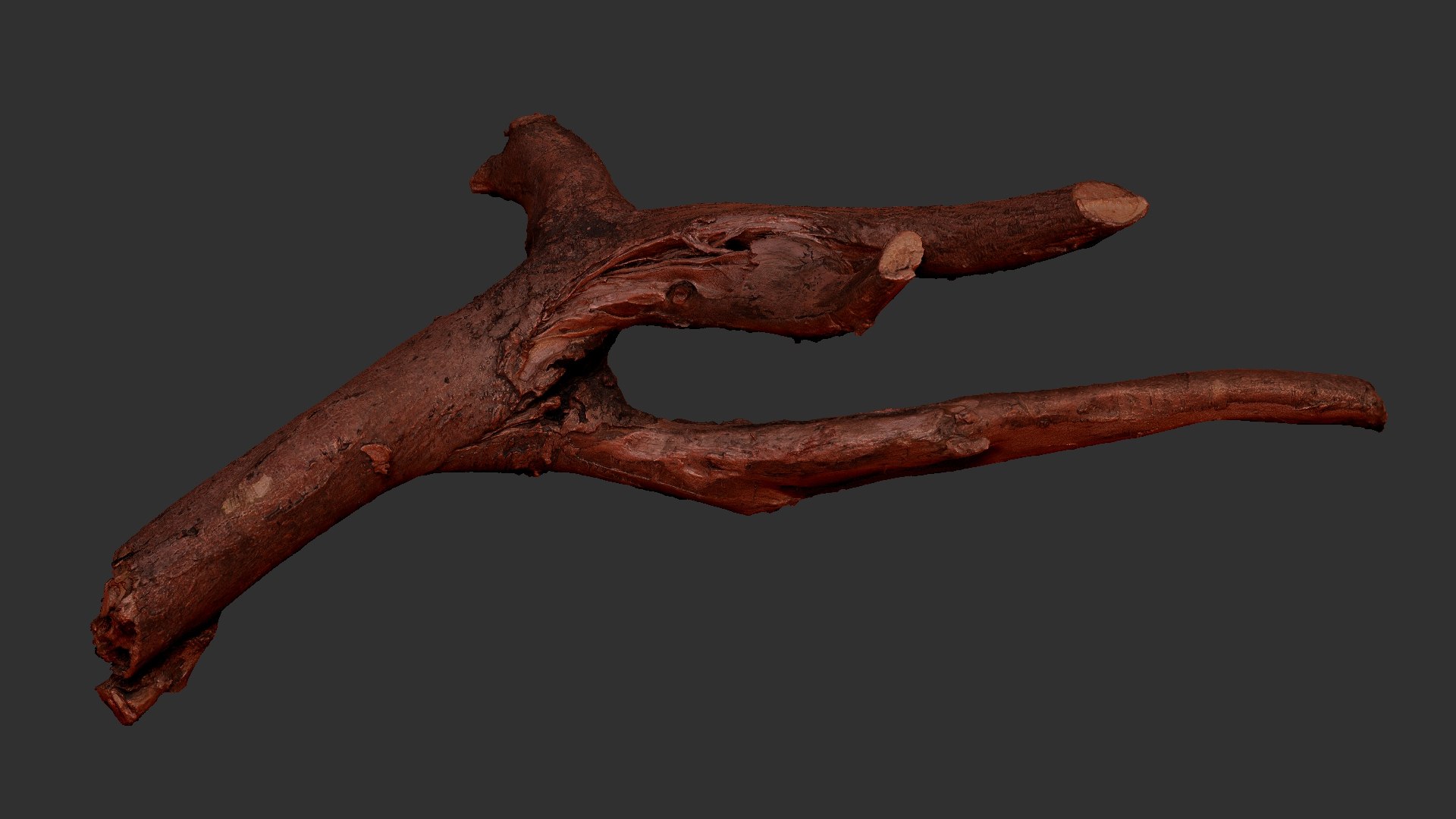 3D Tree Branch 3d Scan - TurboSquid 2204679